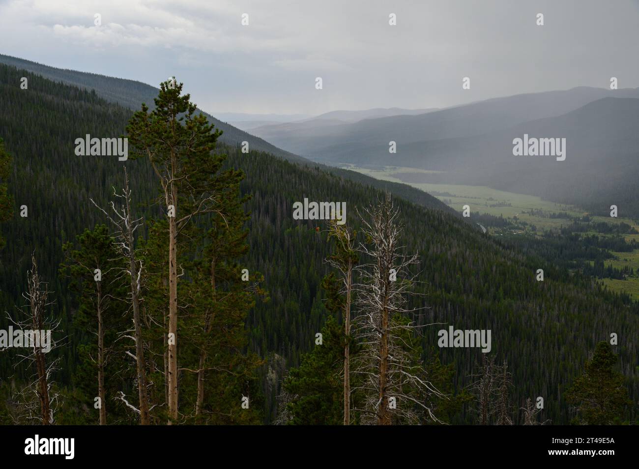 Misty mountain vista on a cloudy, rainy summers day in Rocky Mountain ...