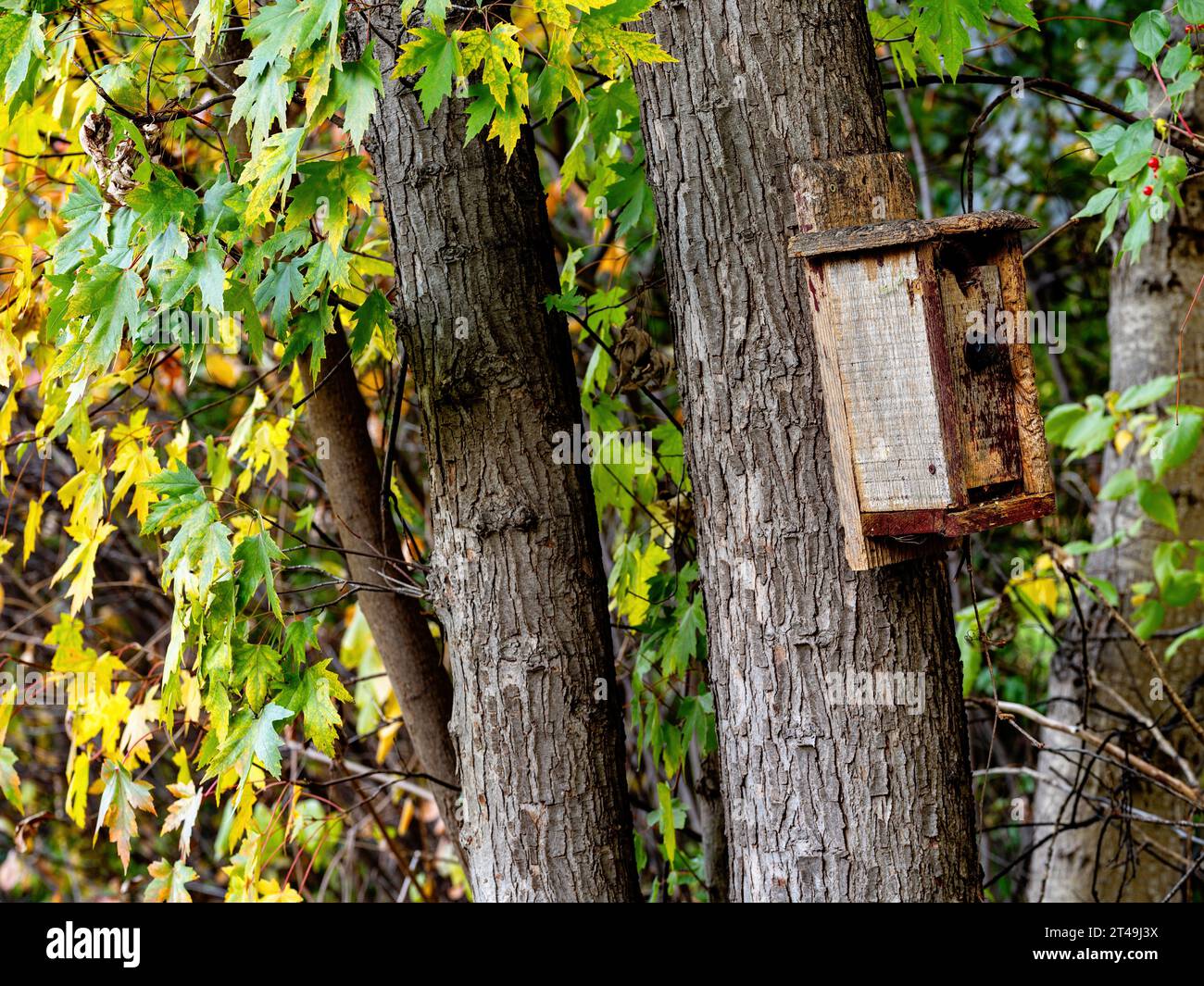 Box mountain hi-res stock photography and images - Alamy