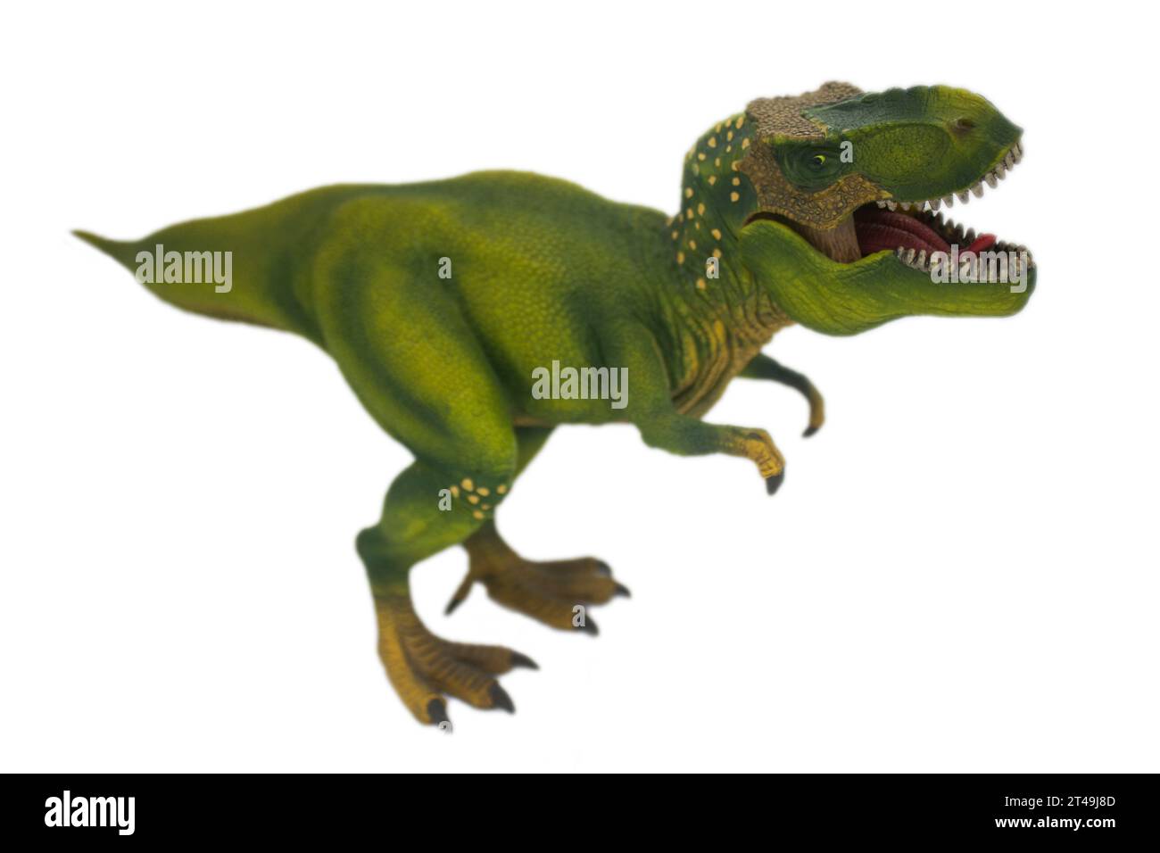 Tyrannosaurus Rex Dinosaur Stock Photo - Alamy