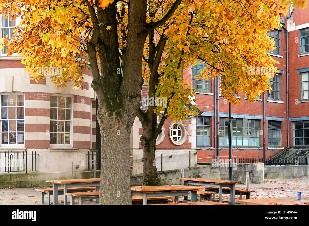 Manchester university in fall hi-res stock photography and images - Alamy