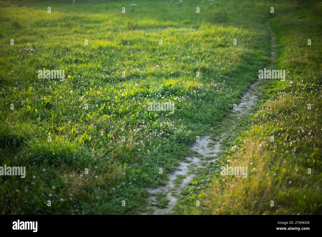 Pathway across lawn hi-res stock photography and images - Alamy