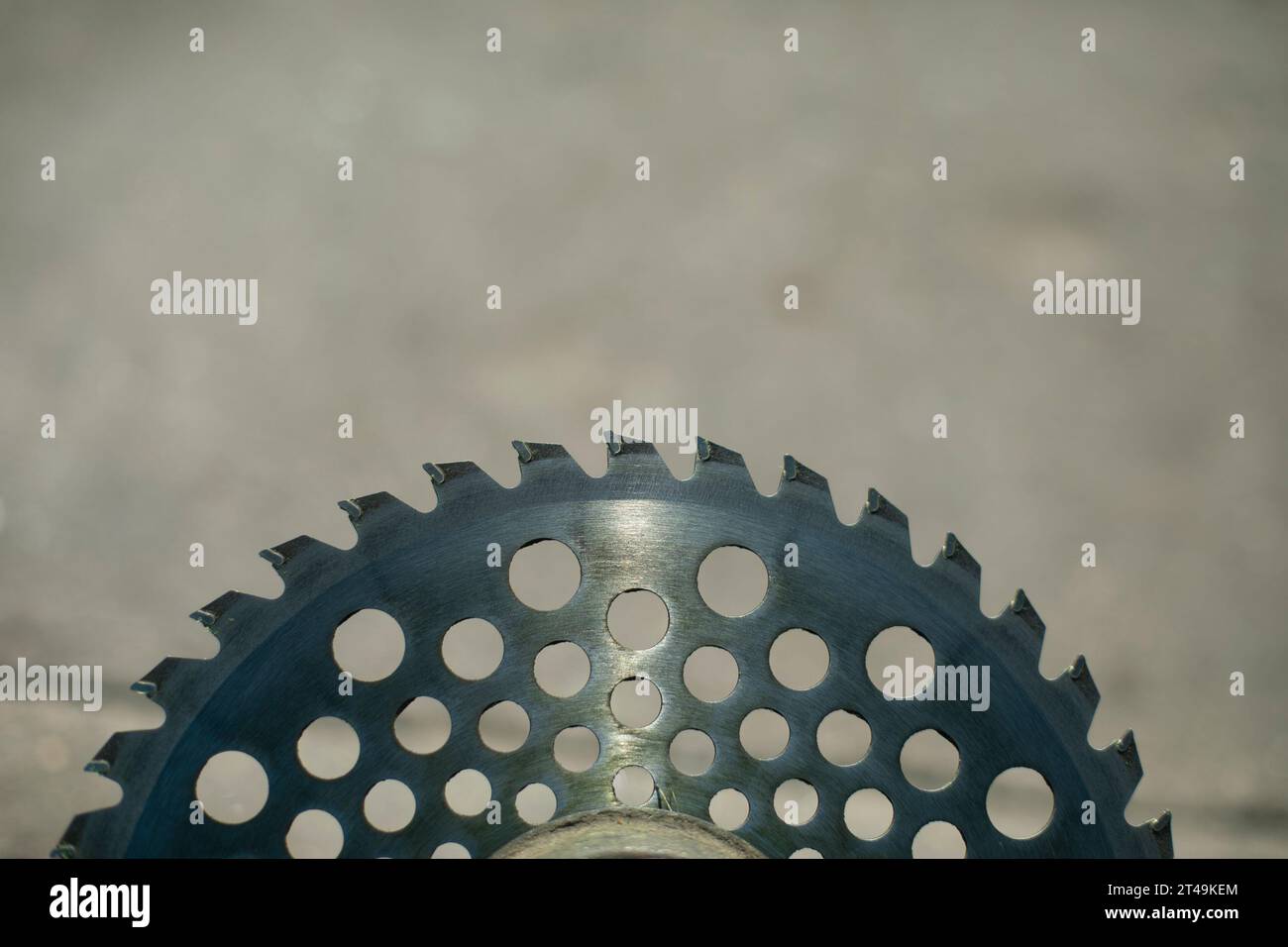 Saw for mowing grass. Plant Cutter. Circular saw. Lawn cutting disc ...