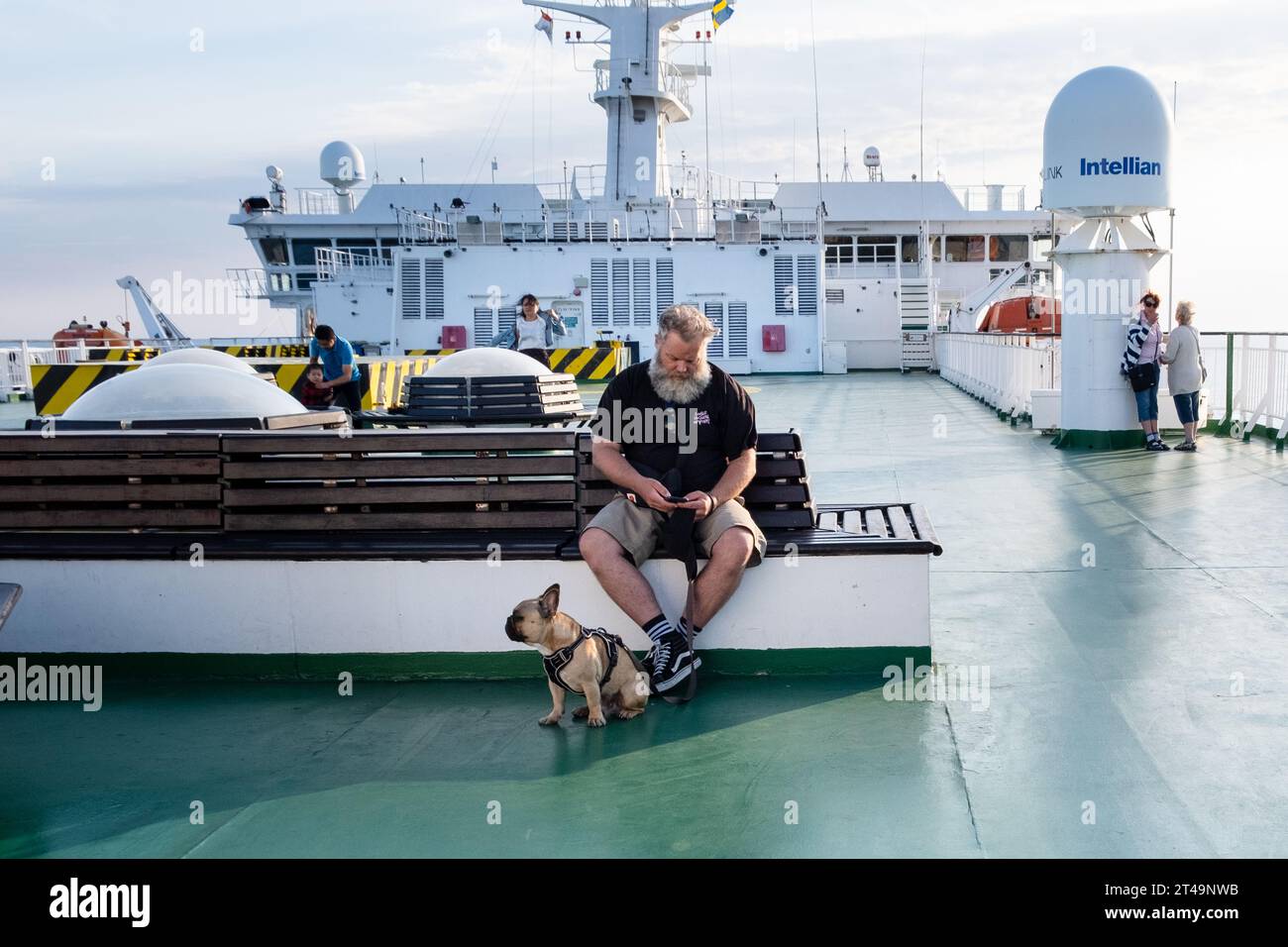 A bearded man with a bulldog on his mobile phone travelling on a Baltic ...