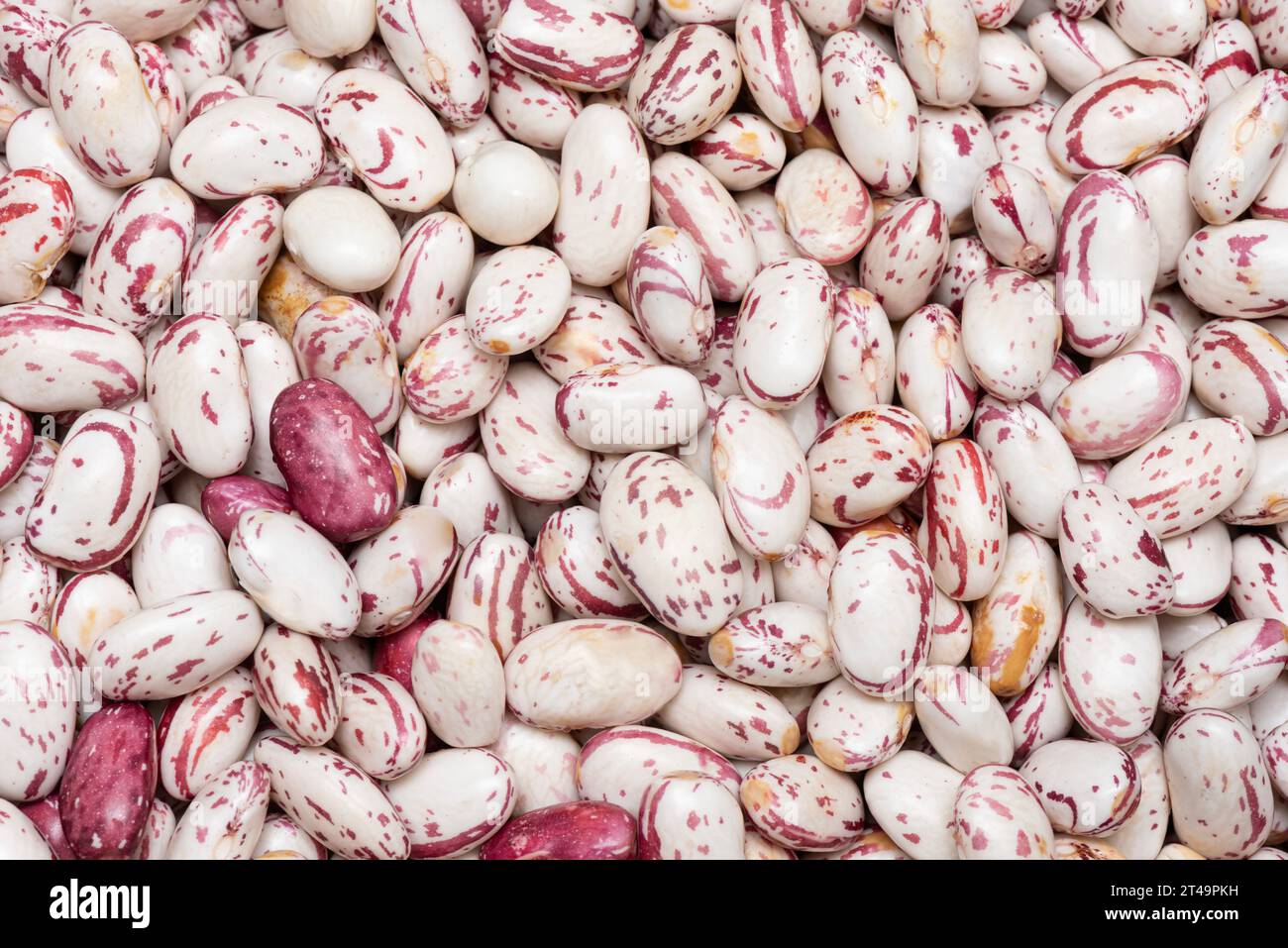 Healthy dried uncooked white bean seeds Stock Photo - Alamy
