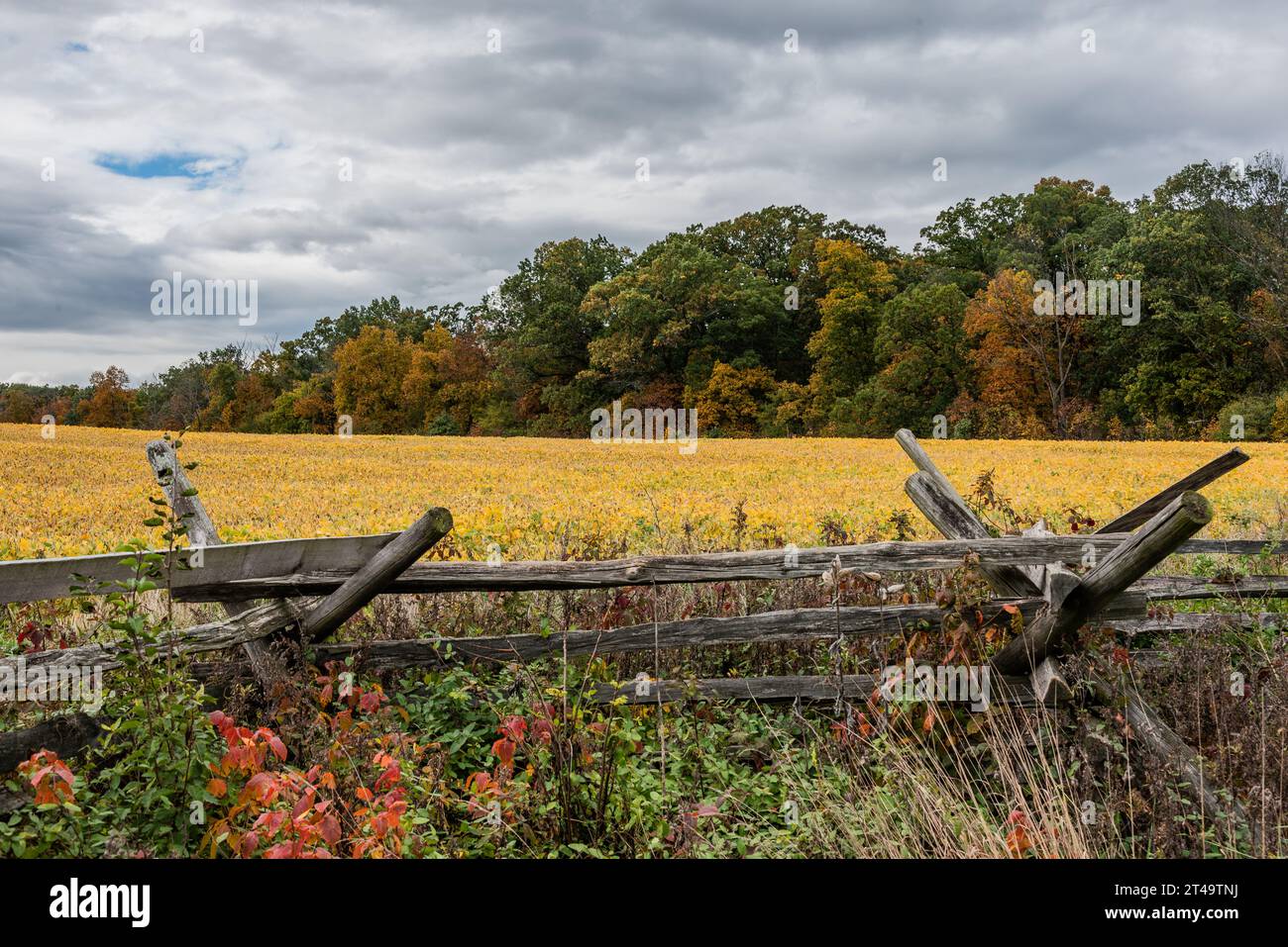 Fall colors at gettysburg civil war battlefield hi-res stock ...