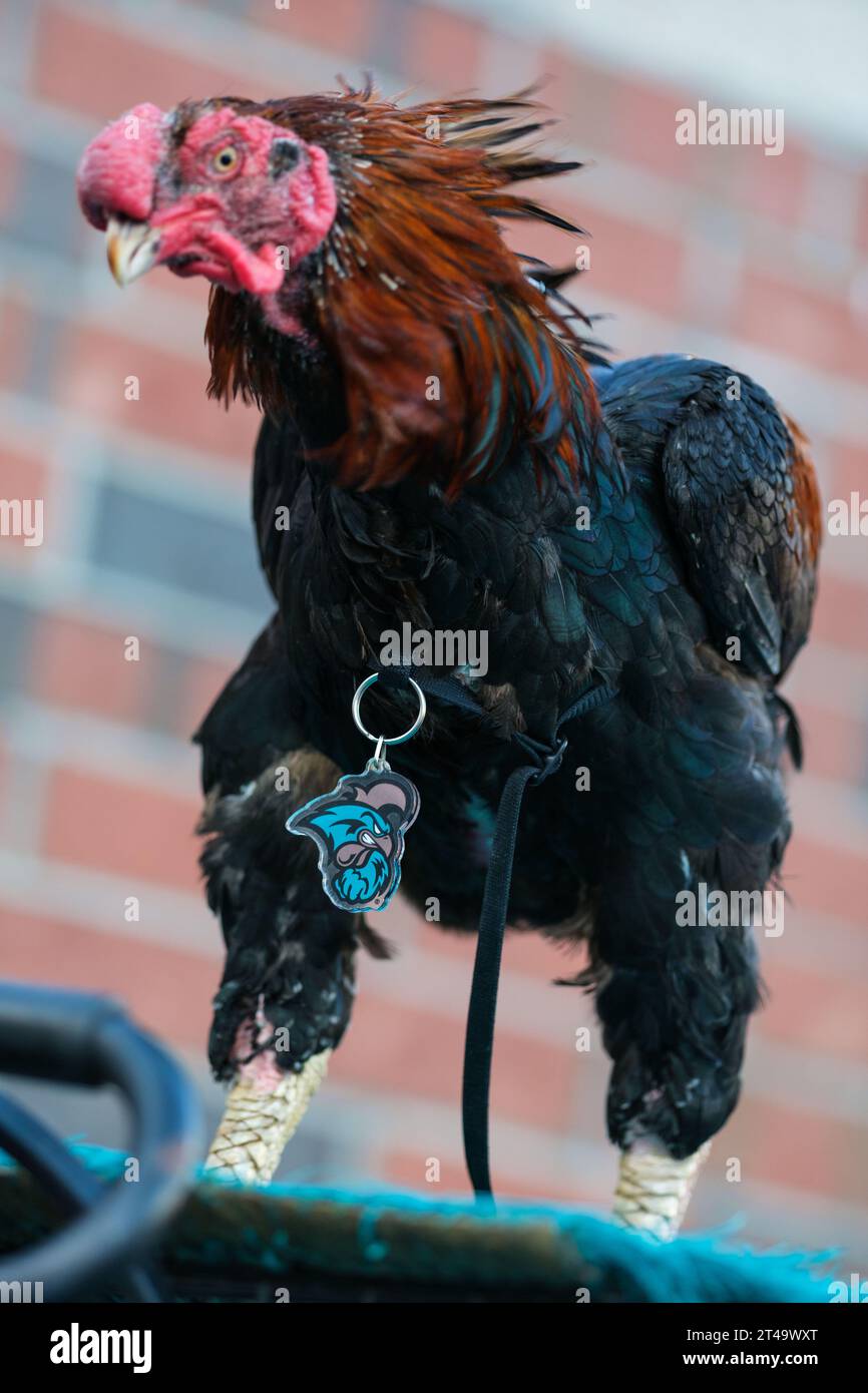 2023 0090 jpg hi-res stock photography and images - Alamy