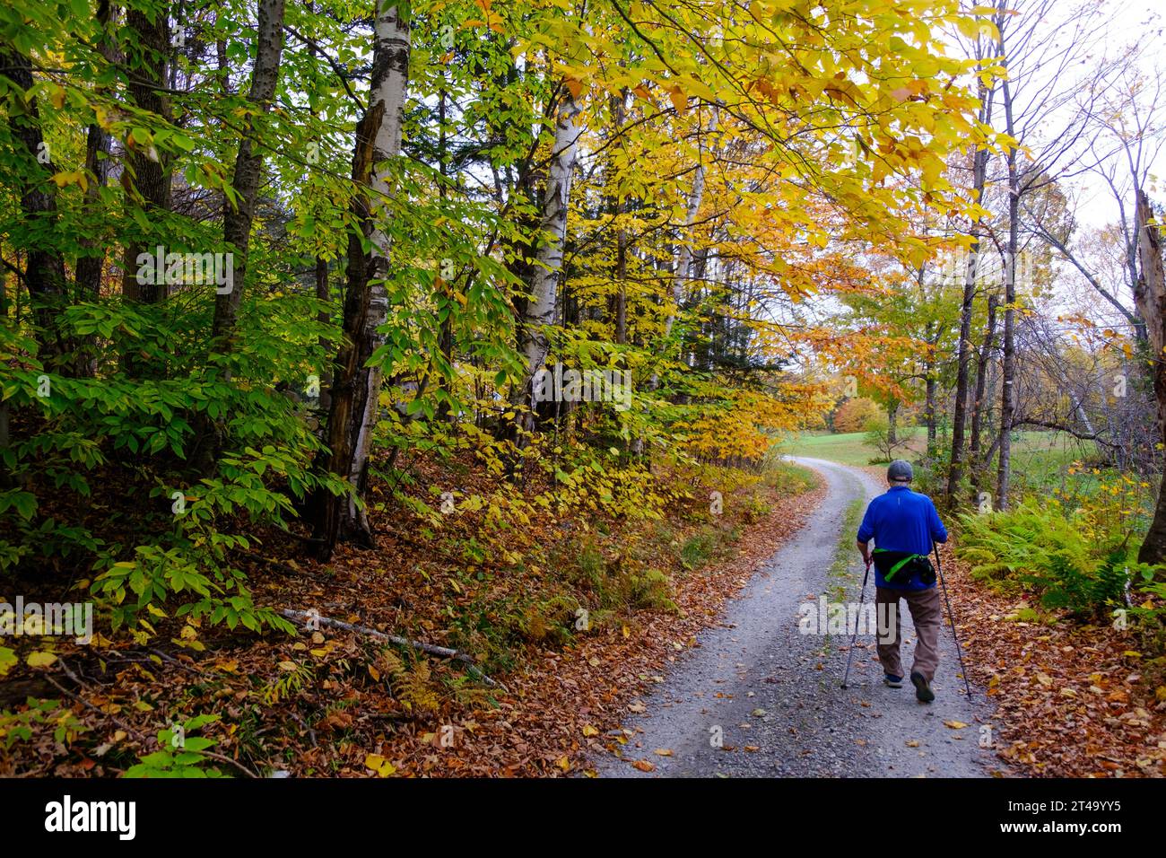 Photo showing the benefits of walking hi-res stock photography and ...