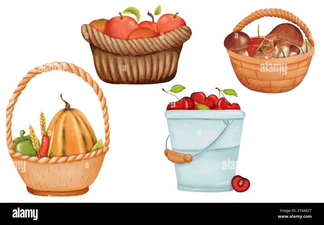 Watercolor harvest set. Baskets with fresh produce: rustic pumpkins ...