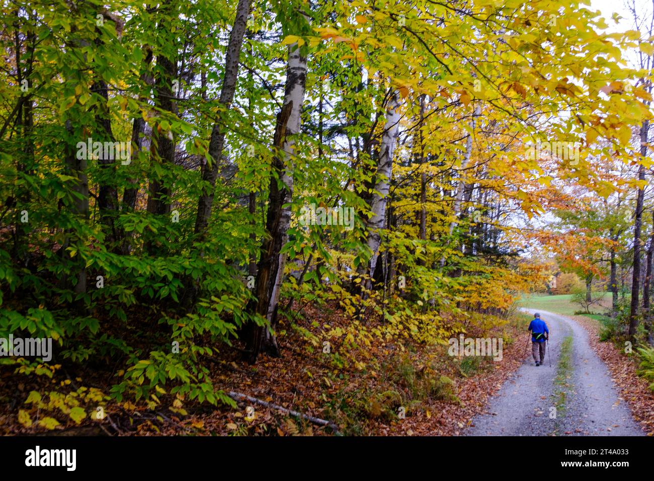 Photo showing the benefits of walking hi-res stock photography and ...