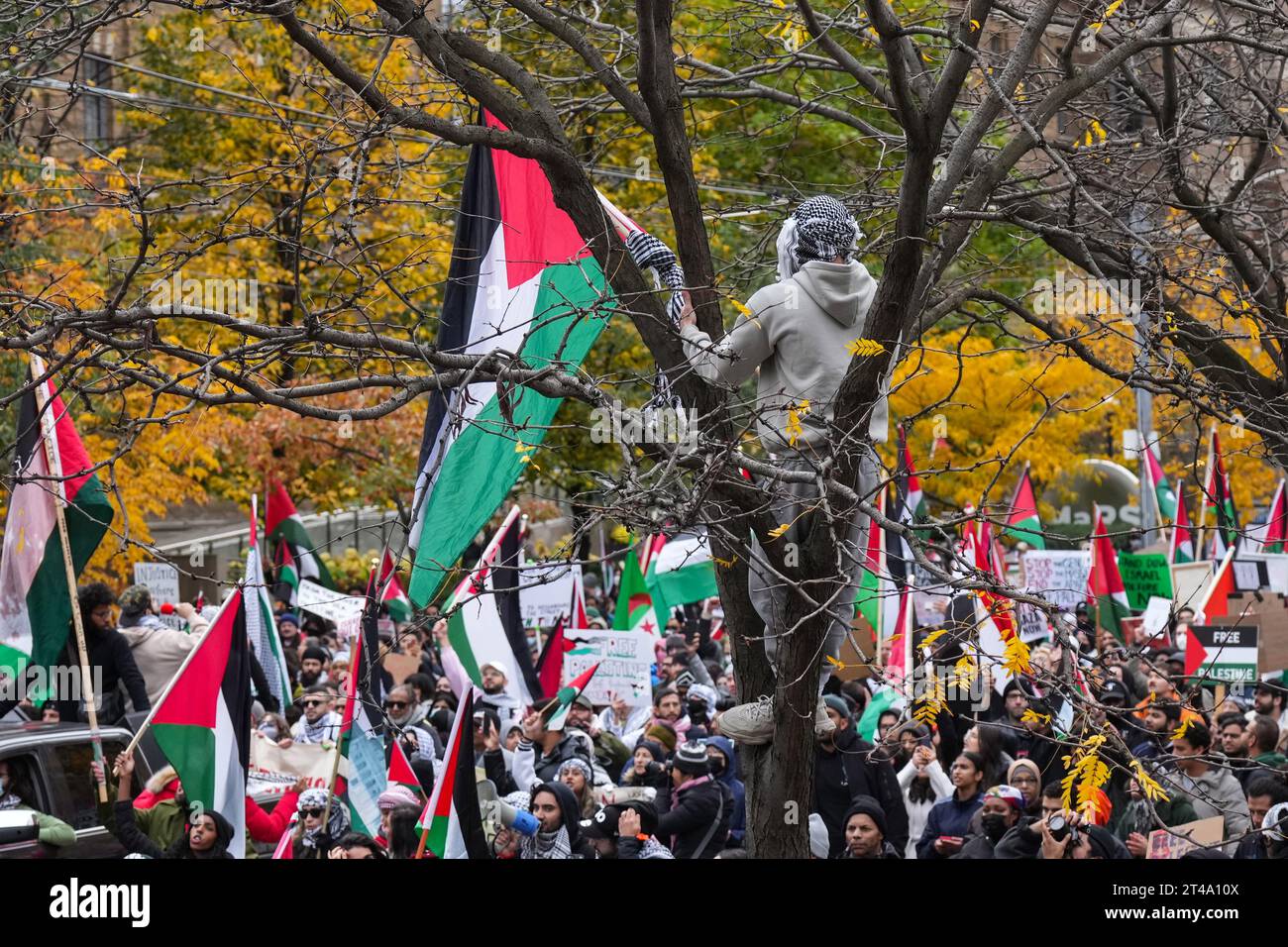 Toronto, Can. 29th Oct, 2023. A demonstrator gains a vantage point ...