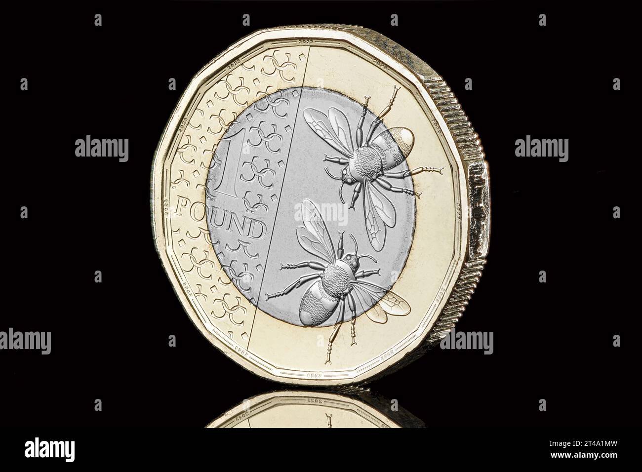 2023 one pound hi-res stock photography and images - Alamy