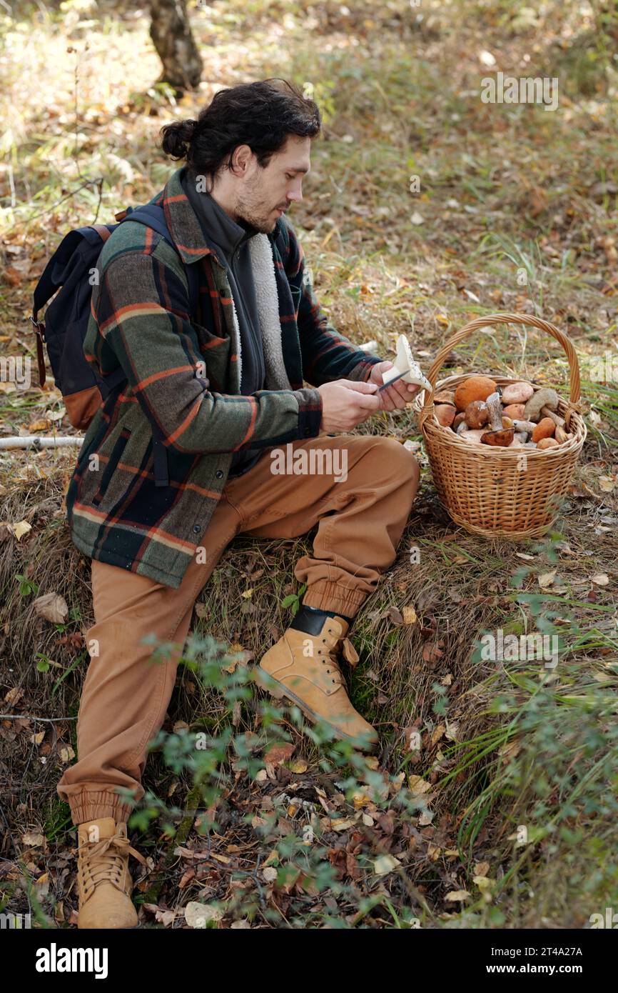 Young man with backpack and knife cutting low part of agaric mushroom ...