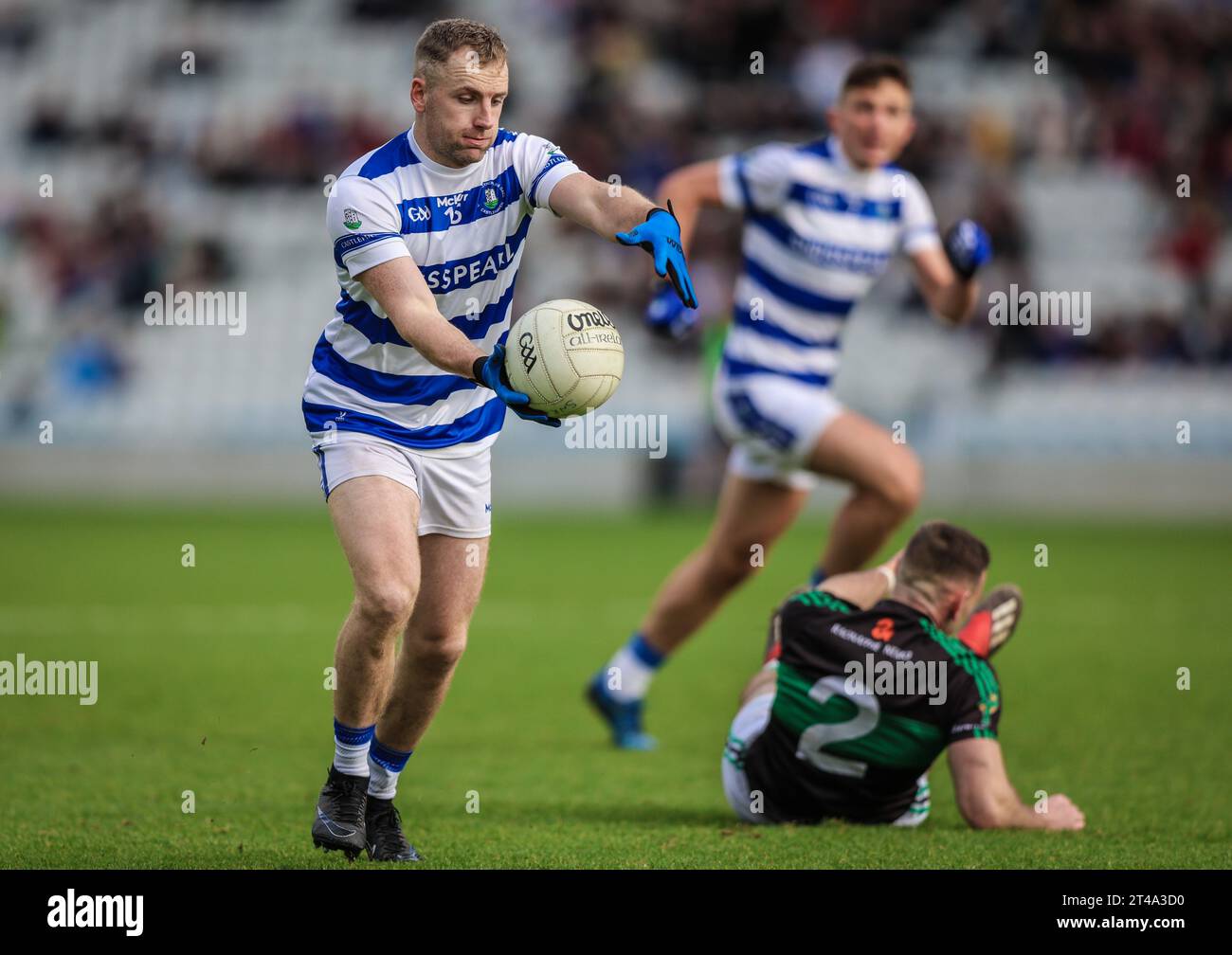 Nemo rangers hi-res stock photography and images - Alamy