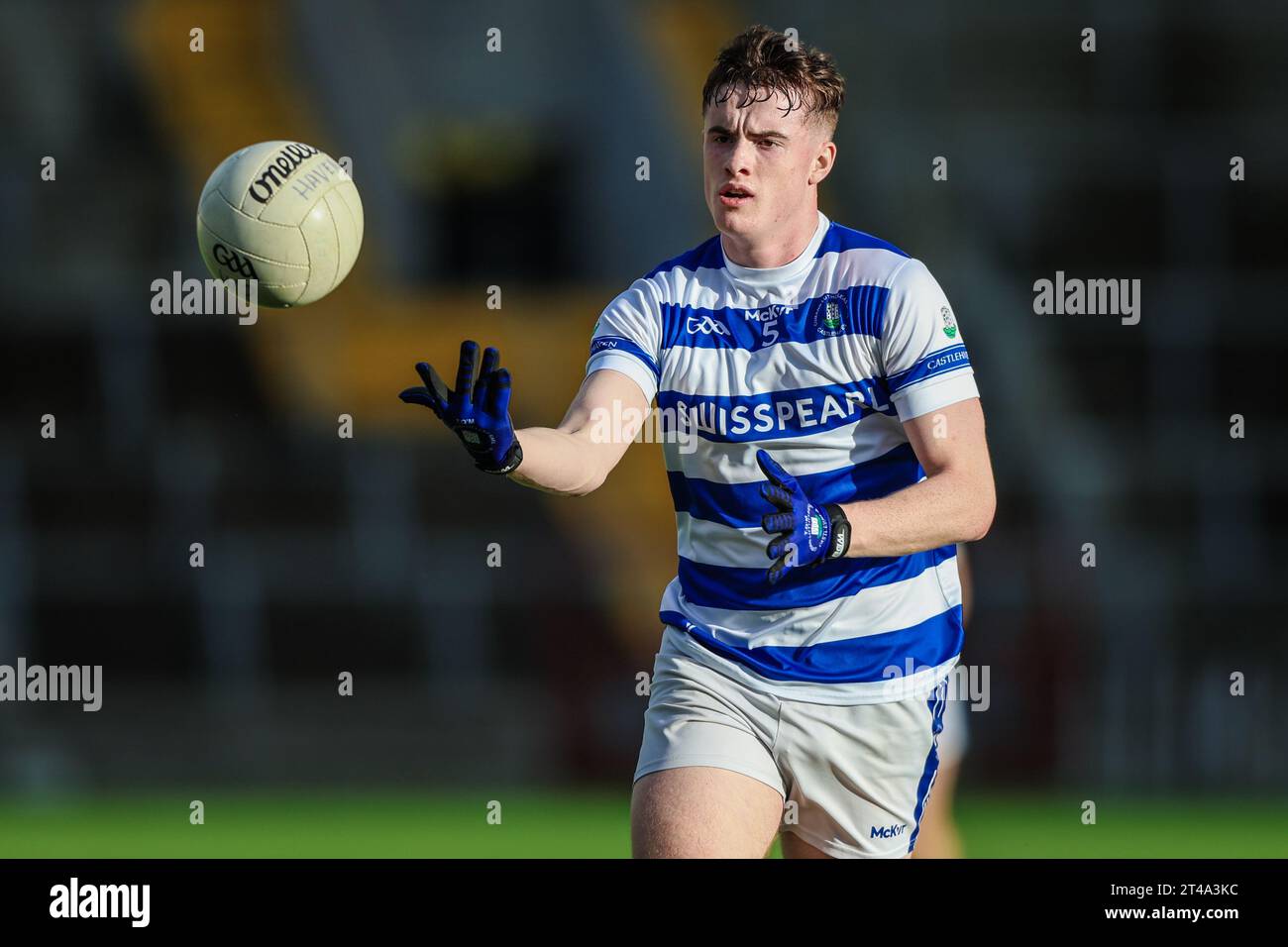 Nemo rangers hi-res stock photography and images - Alamy