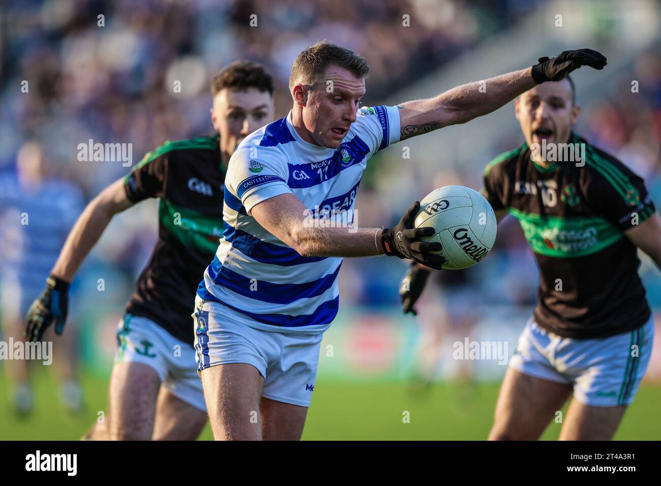 Nemo rangers hi-res stock photography and images - Alamy