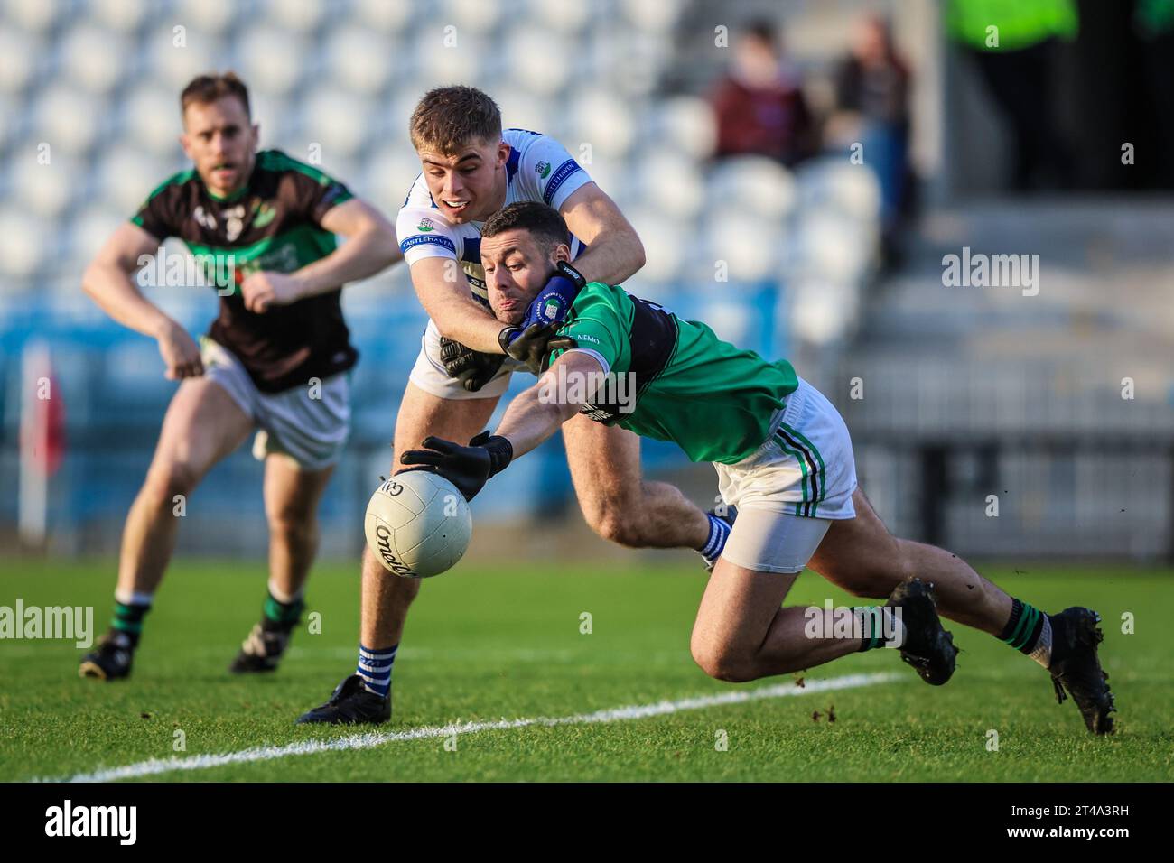Nemo rangers hi-res stock photography and images - Alamy