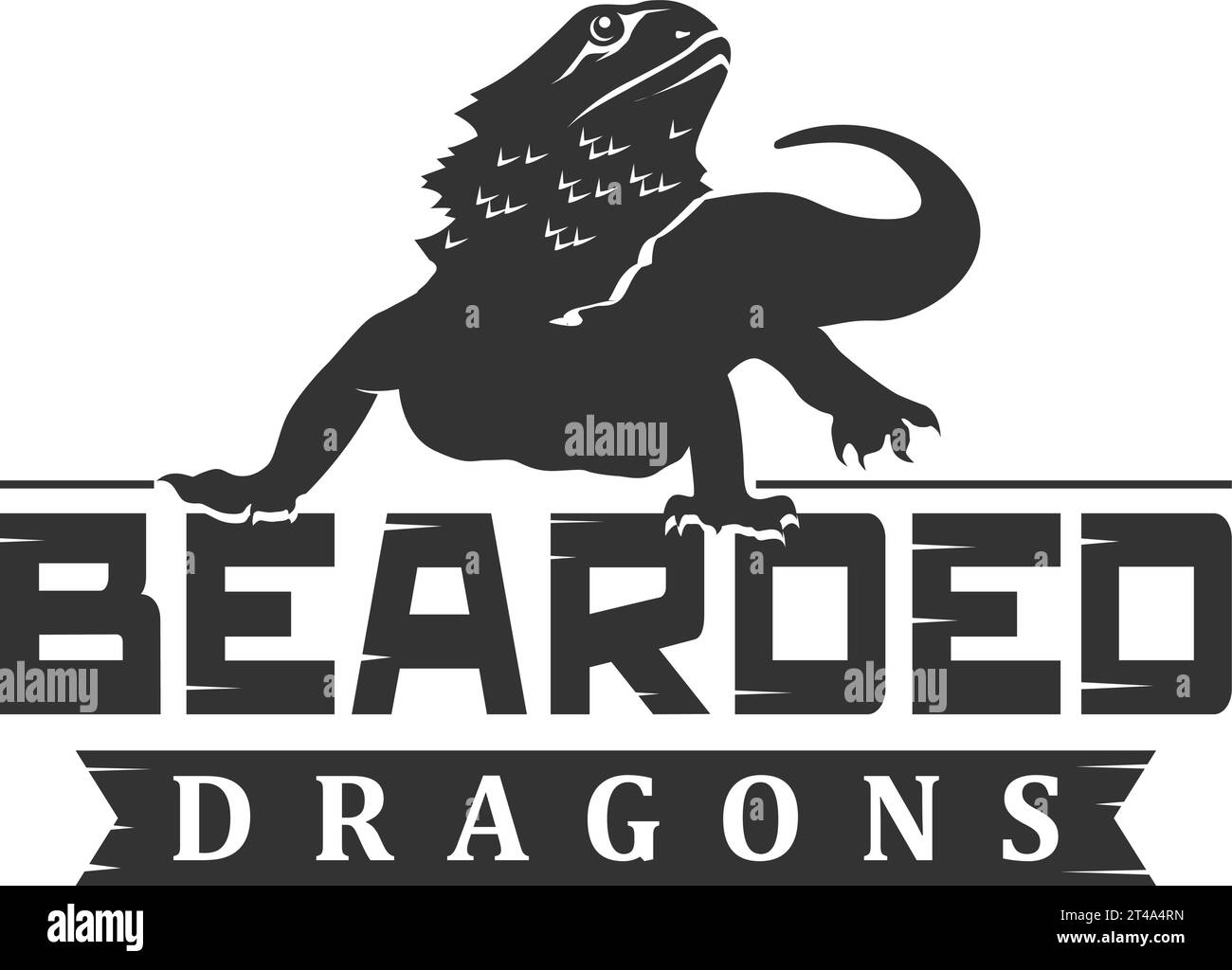 Bearded dragon Black and White Stock Photos & Images - Alamy