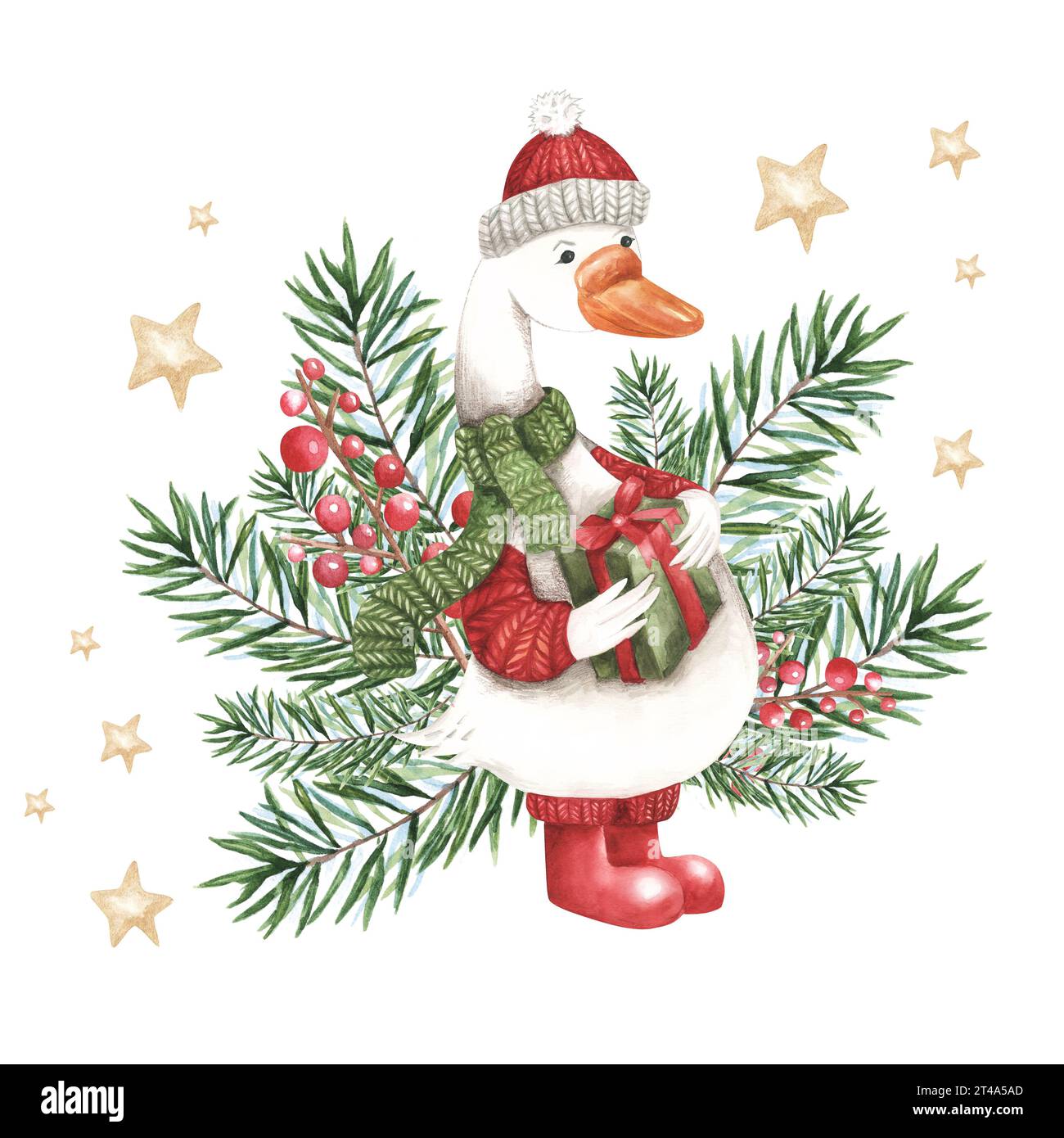 Watercolor illustration of a white goose in Christmas hat New year with ...