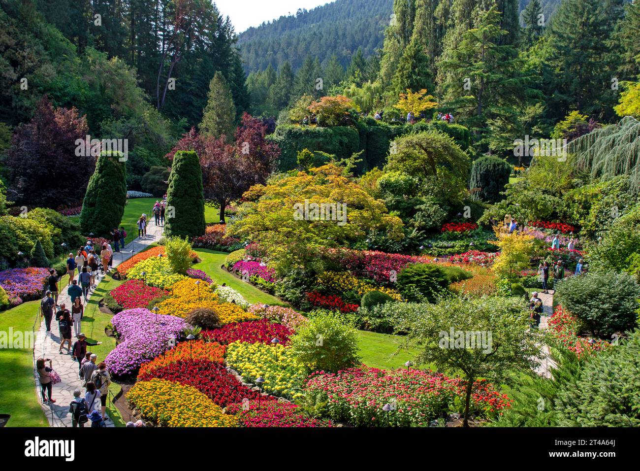 Sunken Garden, Butchart Gardens Stock Photo - Alamy