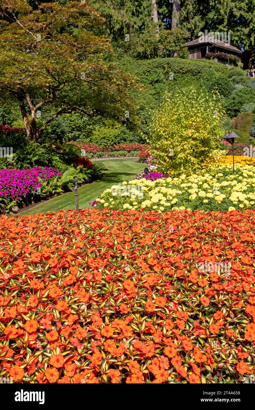 Sunken Garden, Butchart Gardens Stock Photo - Alamy