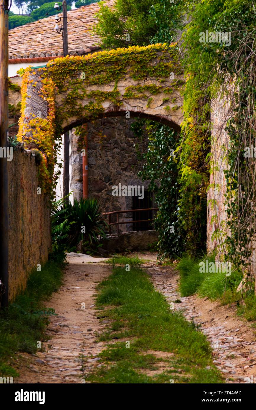 image of an old sand street with a classic bridge where the grass is ...