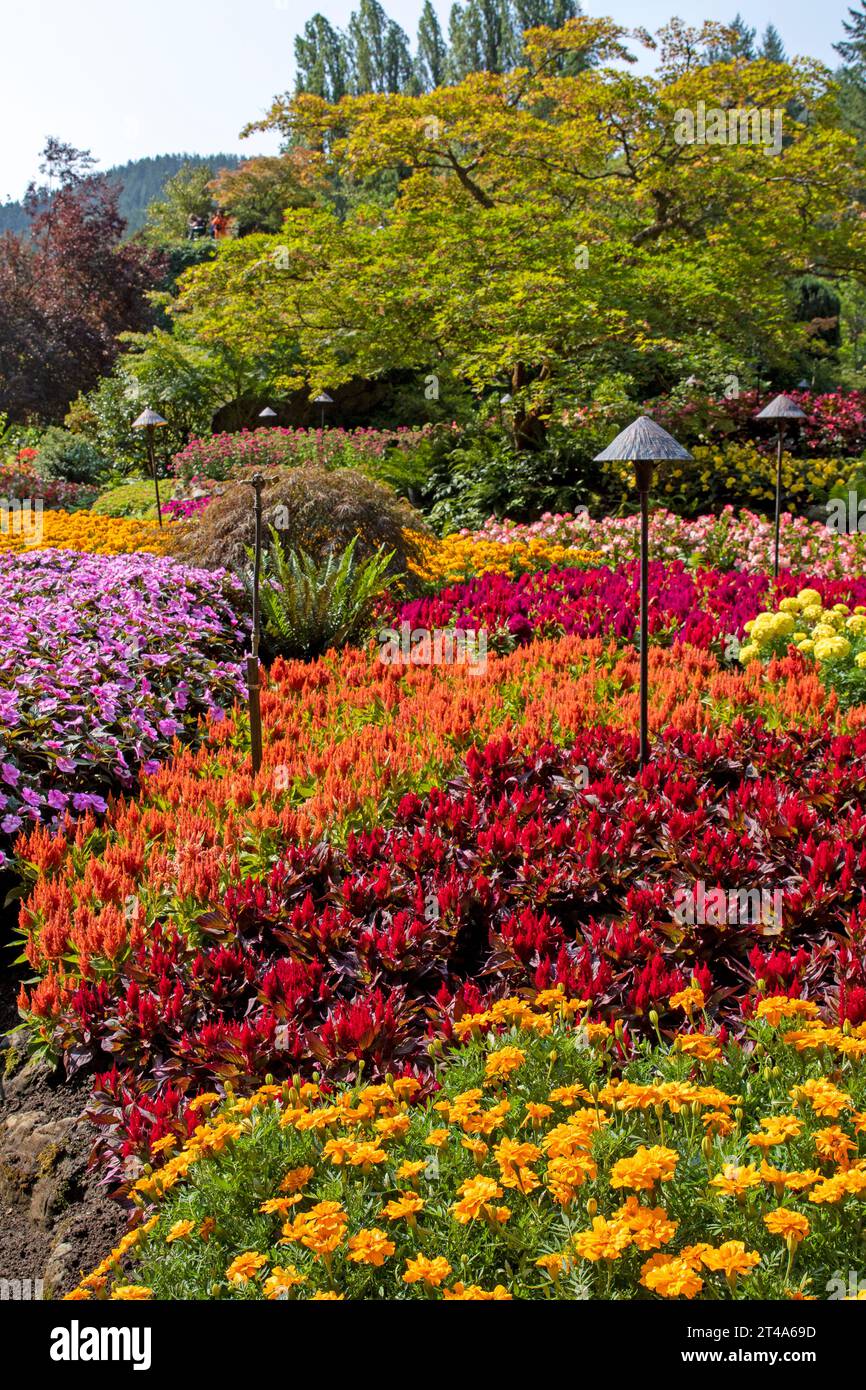 Sunken Garden, Butchart Gardens Stock Photo - Alamy
