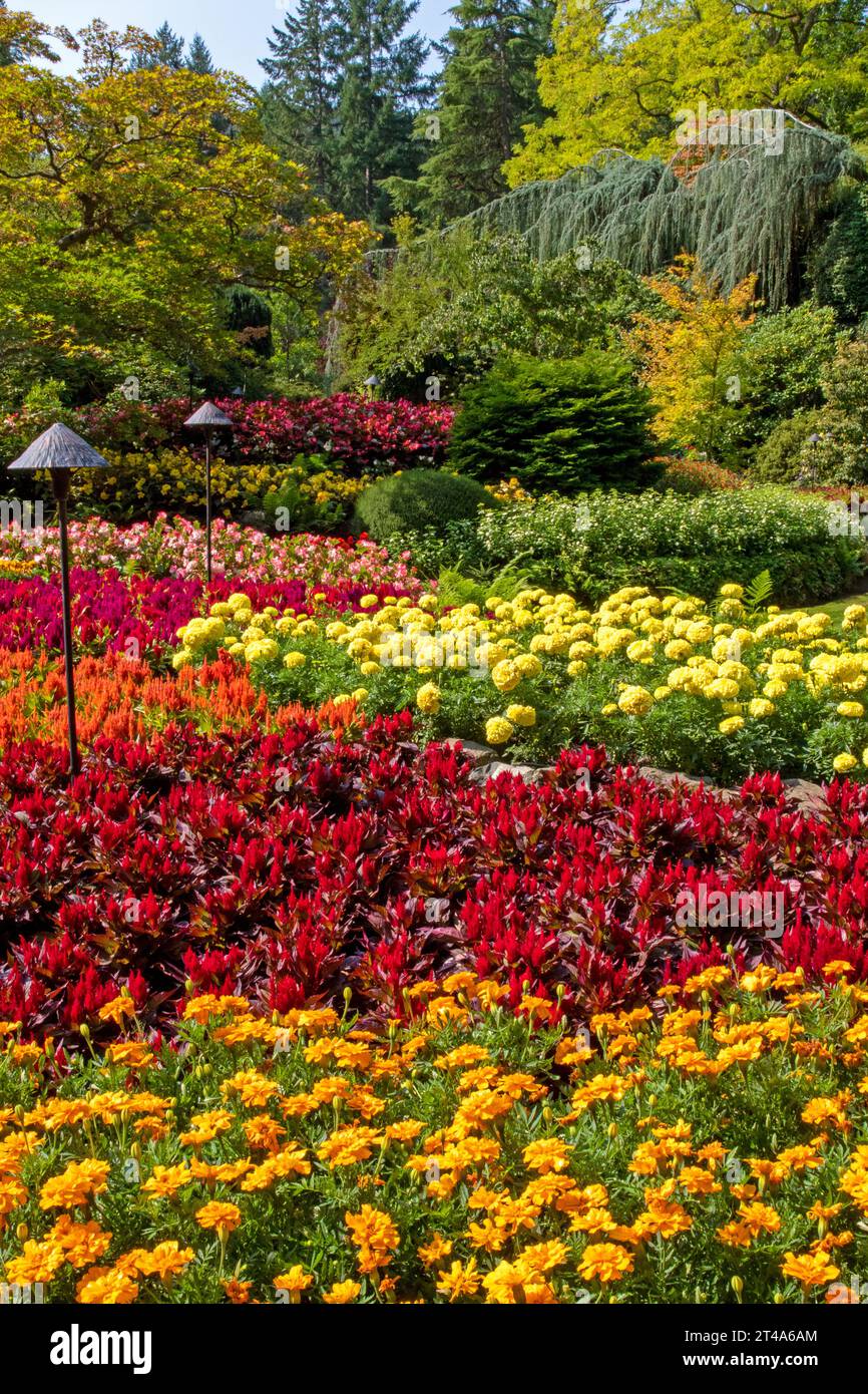 Sunken Garden, Butchart Gardens Stock Photo - Alamy