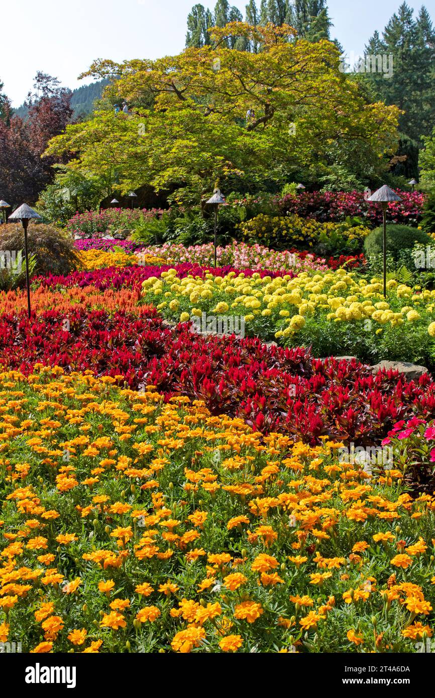 Sunken Garden, Butchart Gardens Stock Photo - Alamy