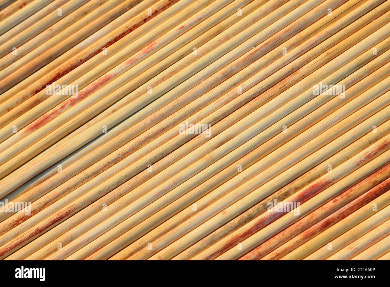 sorghum straw split together, closeup of photo Stock Photo - Alamy