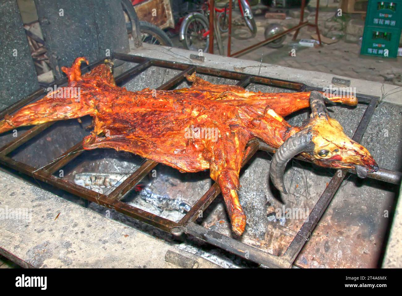 roast whole lamb on the iron frame, in the WuLanBuTong grassland, China ...