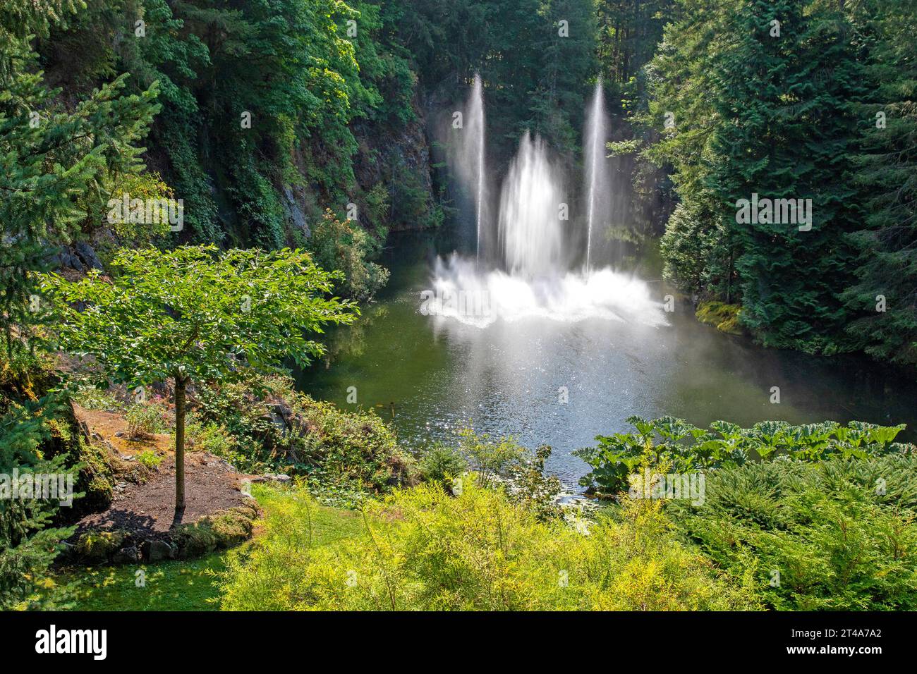 Ross Fountain, Butchart Gardens Stock Photo - Alamy