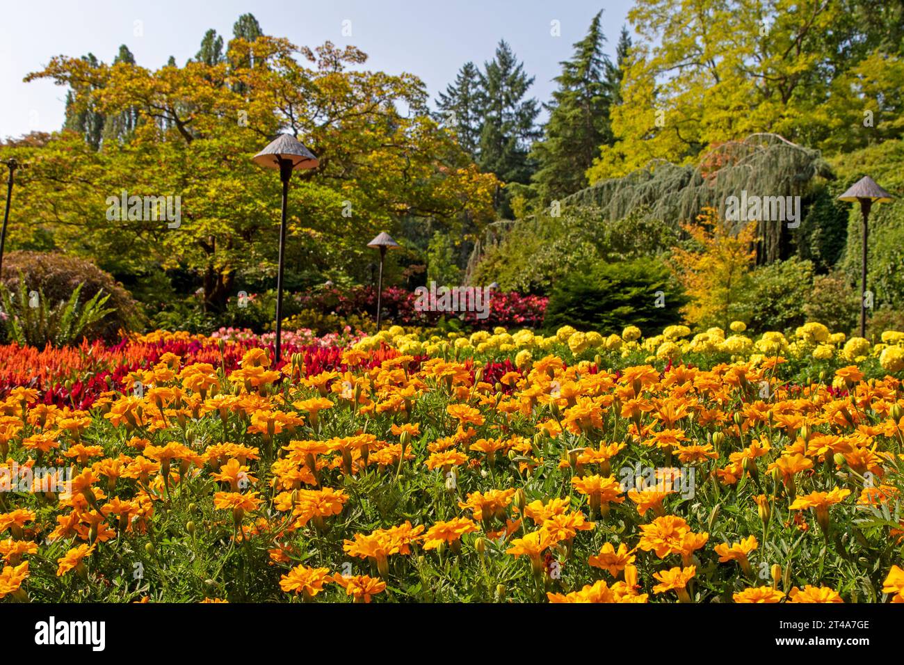 Sunken Garden, Butchart Gardens Stock Photo - Alamy