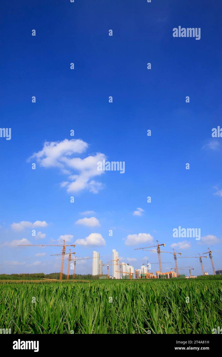 Crops and construction site, closeup of photo Stock Photo - Alamy