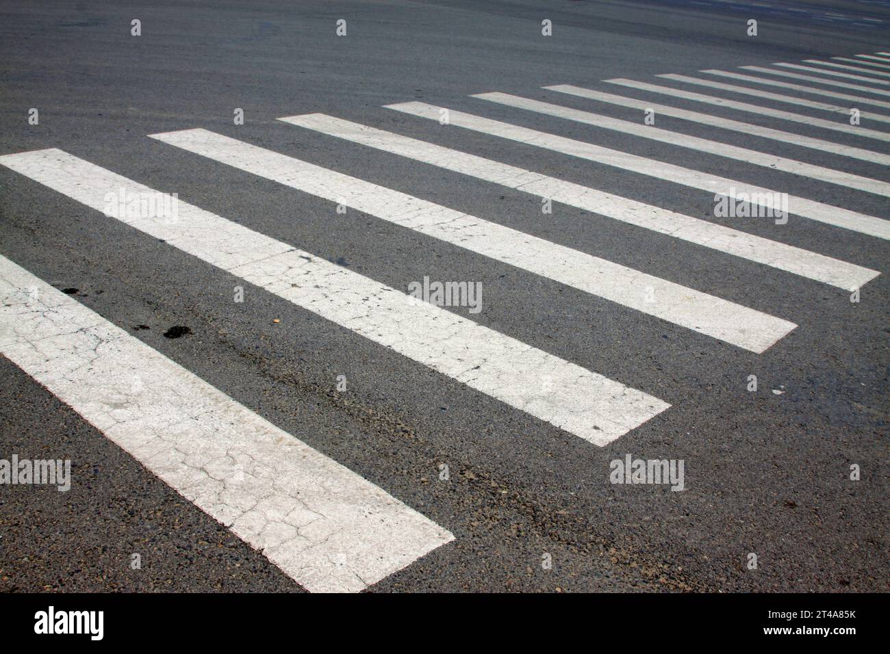 zebra crossing on asphalt pavement Stock Photo - Alamy