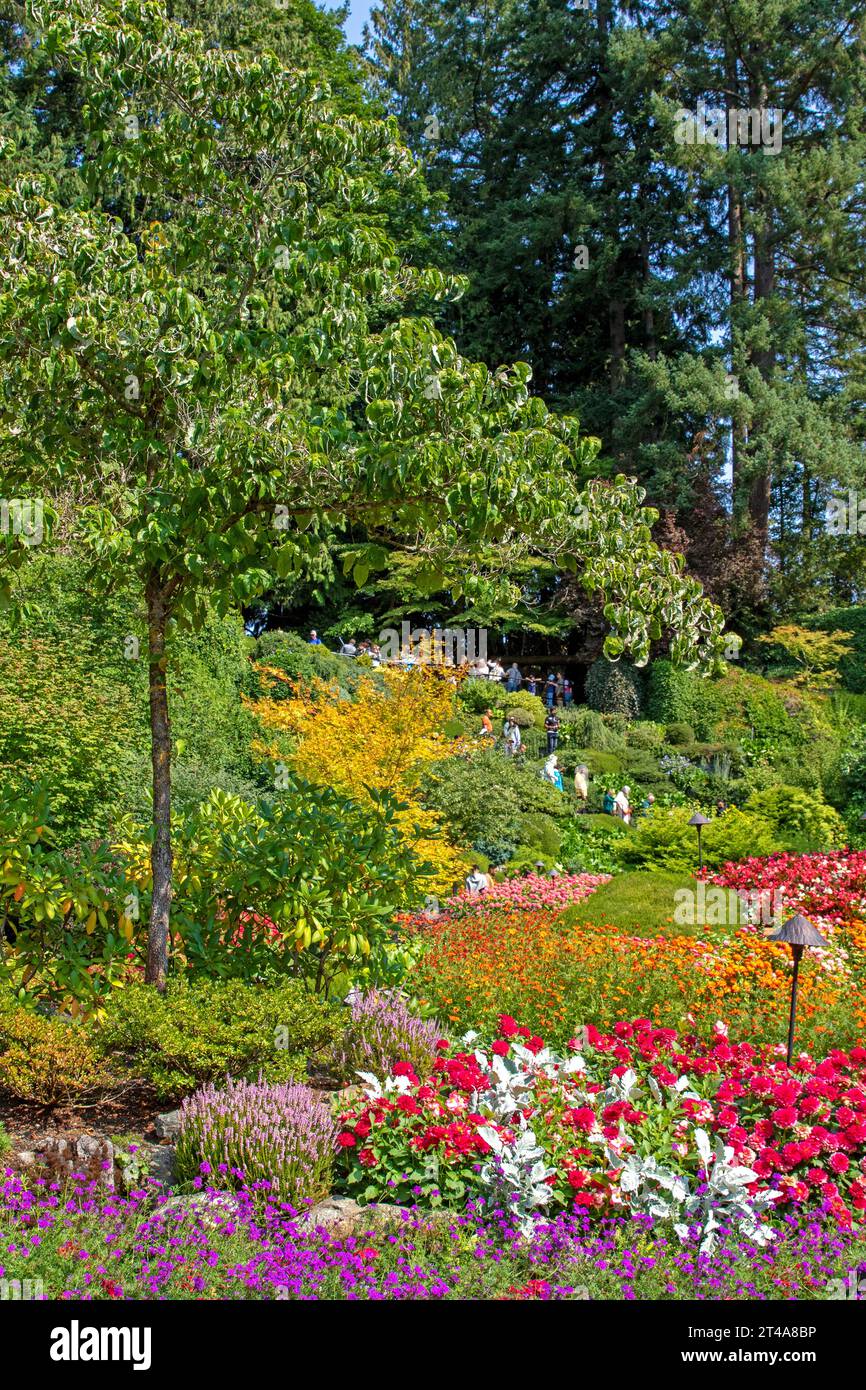 Sunken Garden, Butchart Gardens Stock Photo - Alamy