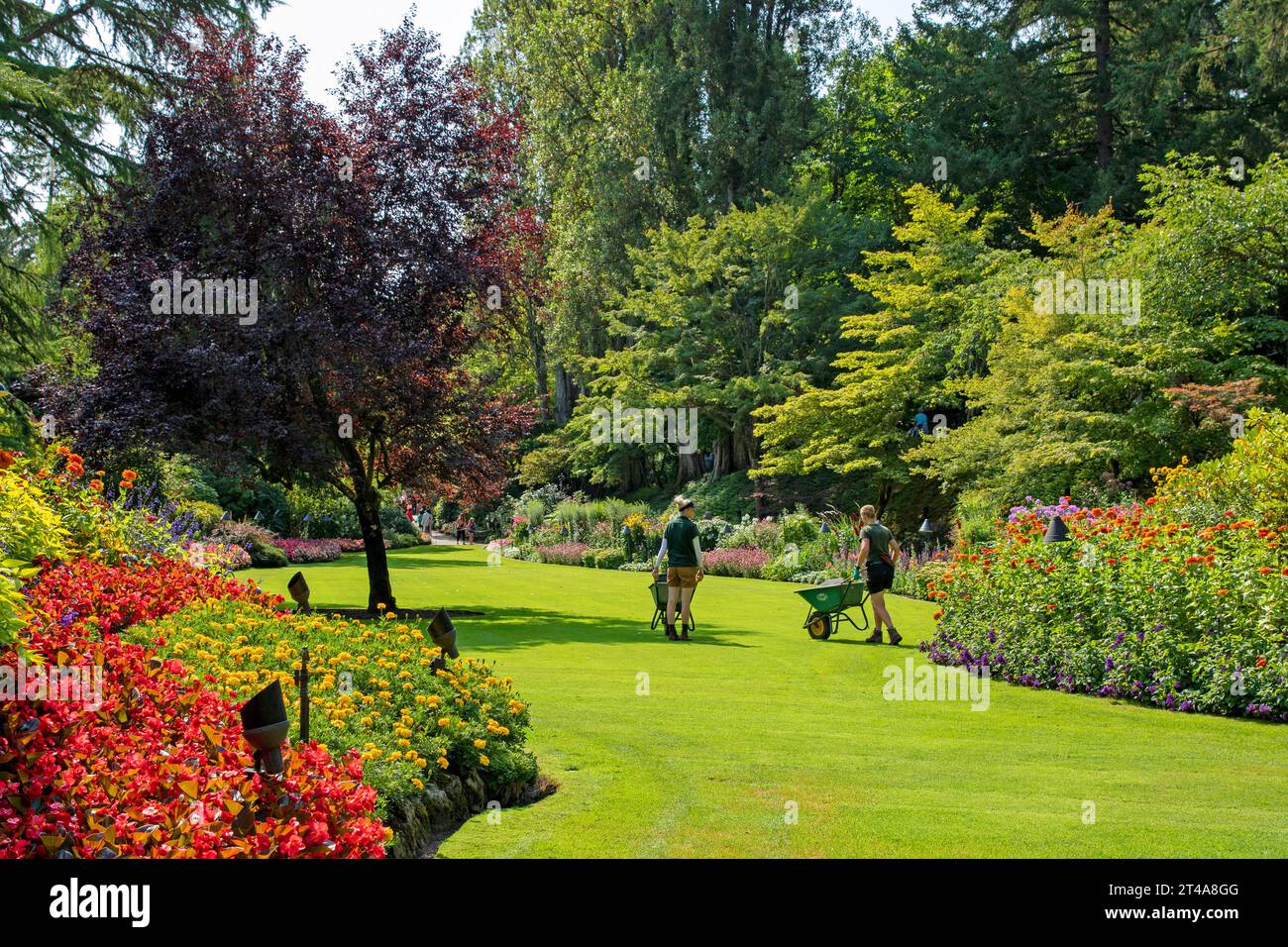 Sunken Garden, Butchart Gardens Stock Photo - Alamy