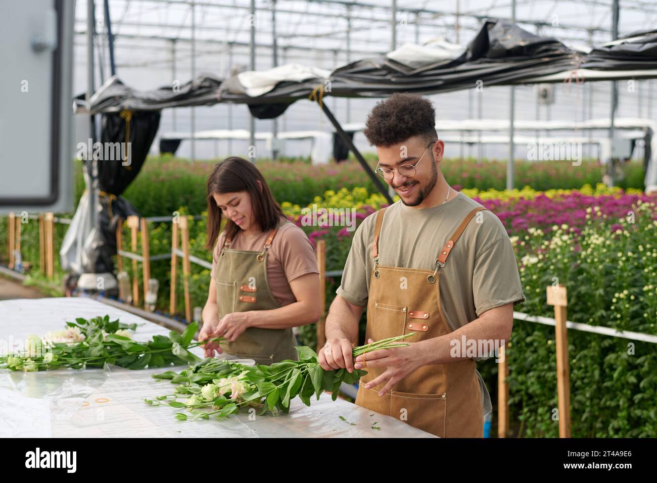 Young smiling male florist in apron forming eustoma bouquet by tying ...