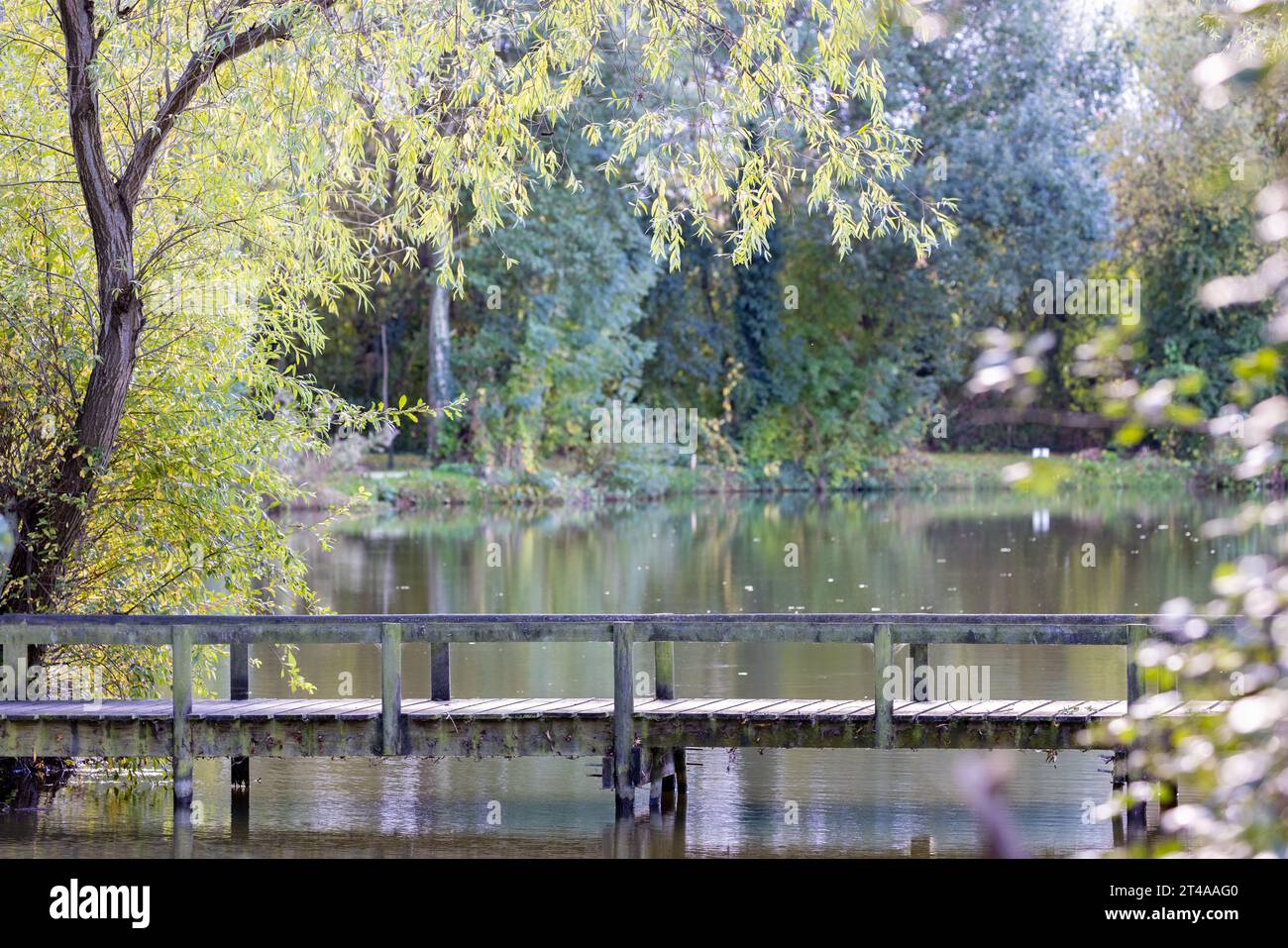 Bridge for fishing hi-res stock photography and images - Alamy