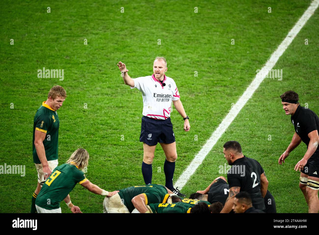 REFEREE Wayne Barnes (Rugby Football Union) during the Rugby World Cup ...