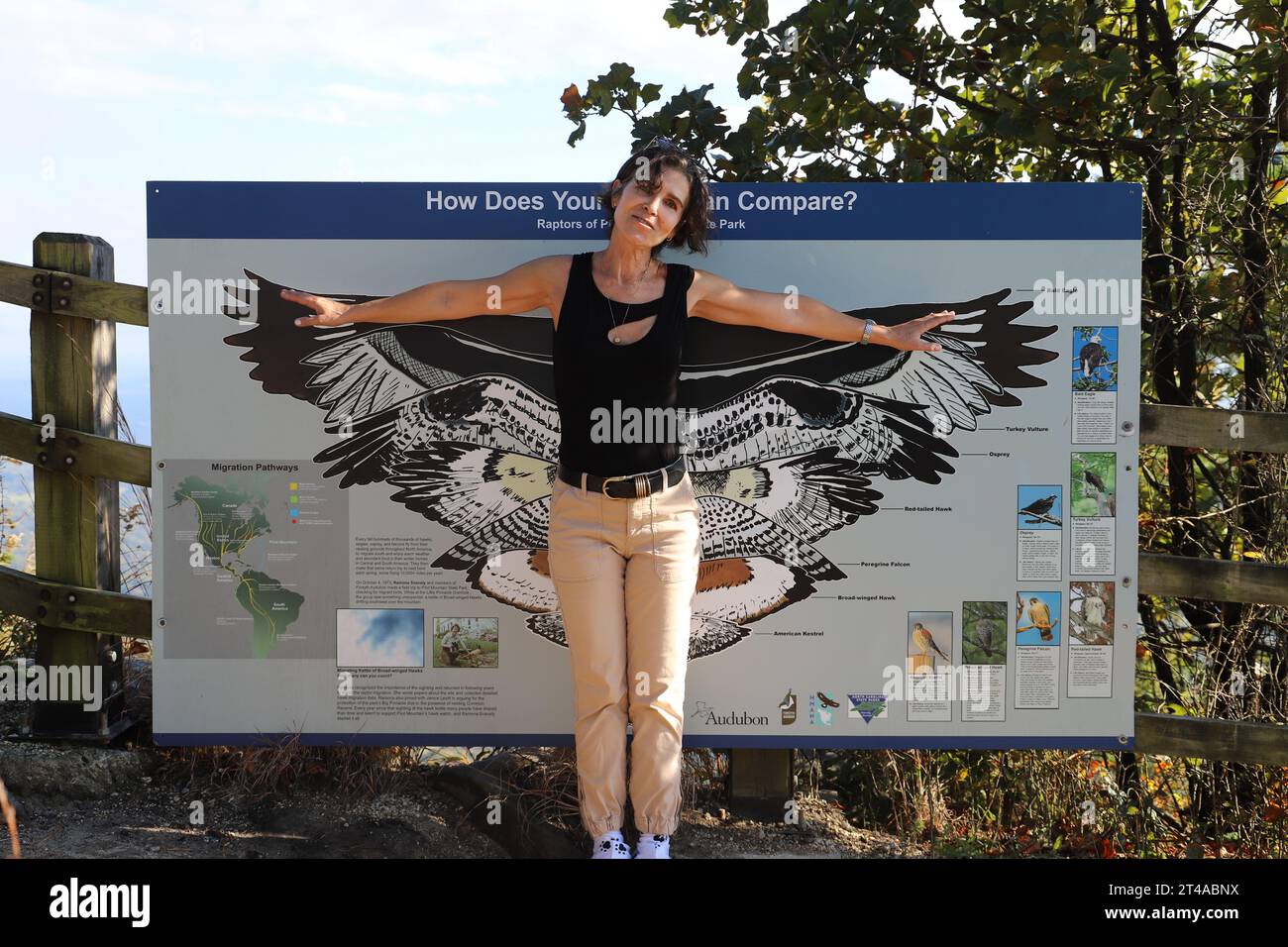 Wind chart hi-res stock photography and images - Alamy