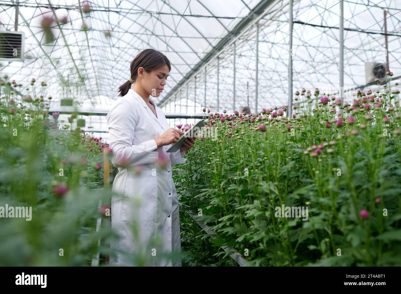 Side view of young confident female scientist or researcher using ...