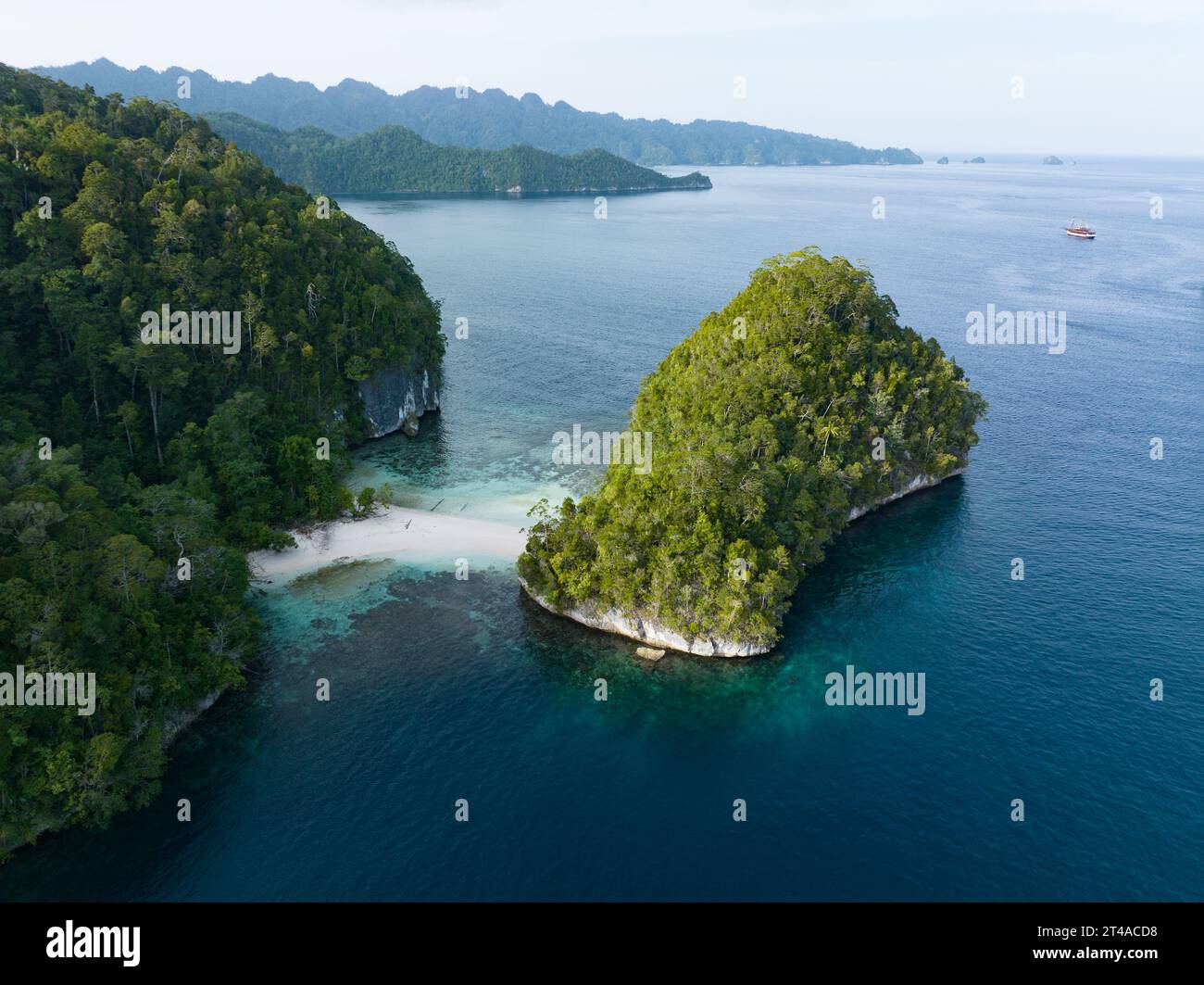 Limestone islands, covered by rainforest, are fringed by coral reefs in ...