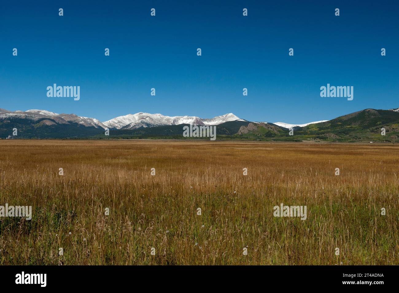 New snow on Boreas Mountain (left) and Mt. Guyot (right) in Colorado's ...