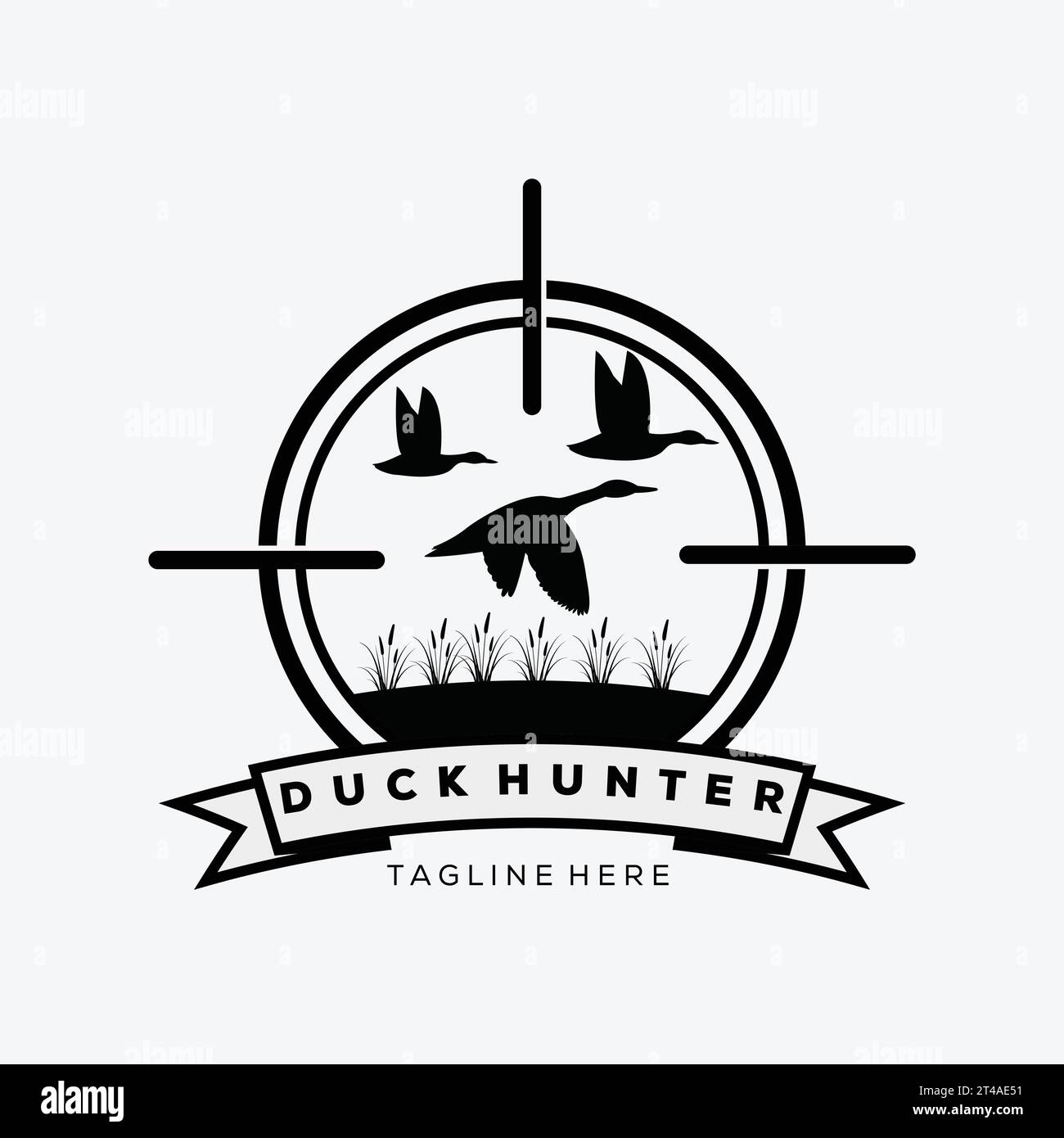 Flying duck mallard Black and White Stock Photos & Images - Alamy