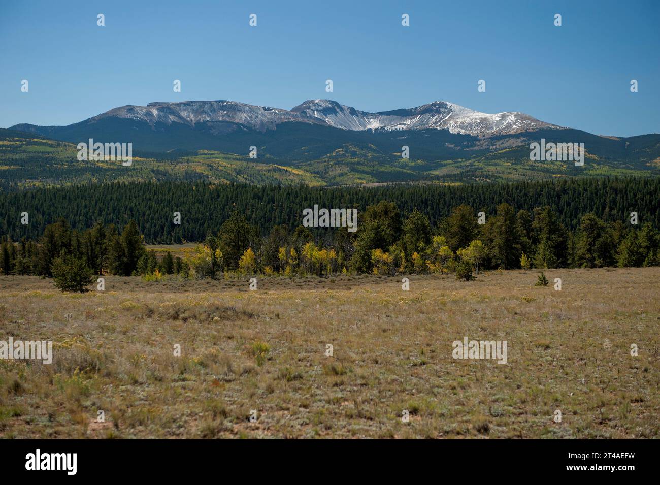 New snow on the Buffalo Peaks of South Park, Colorado. Both Thirteeners ...