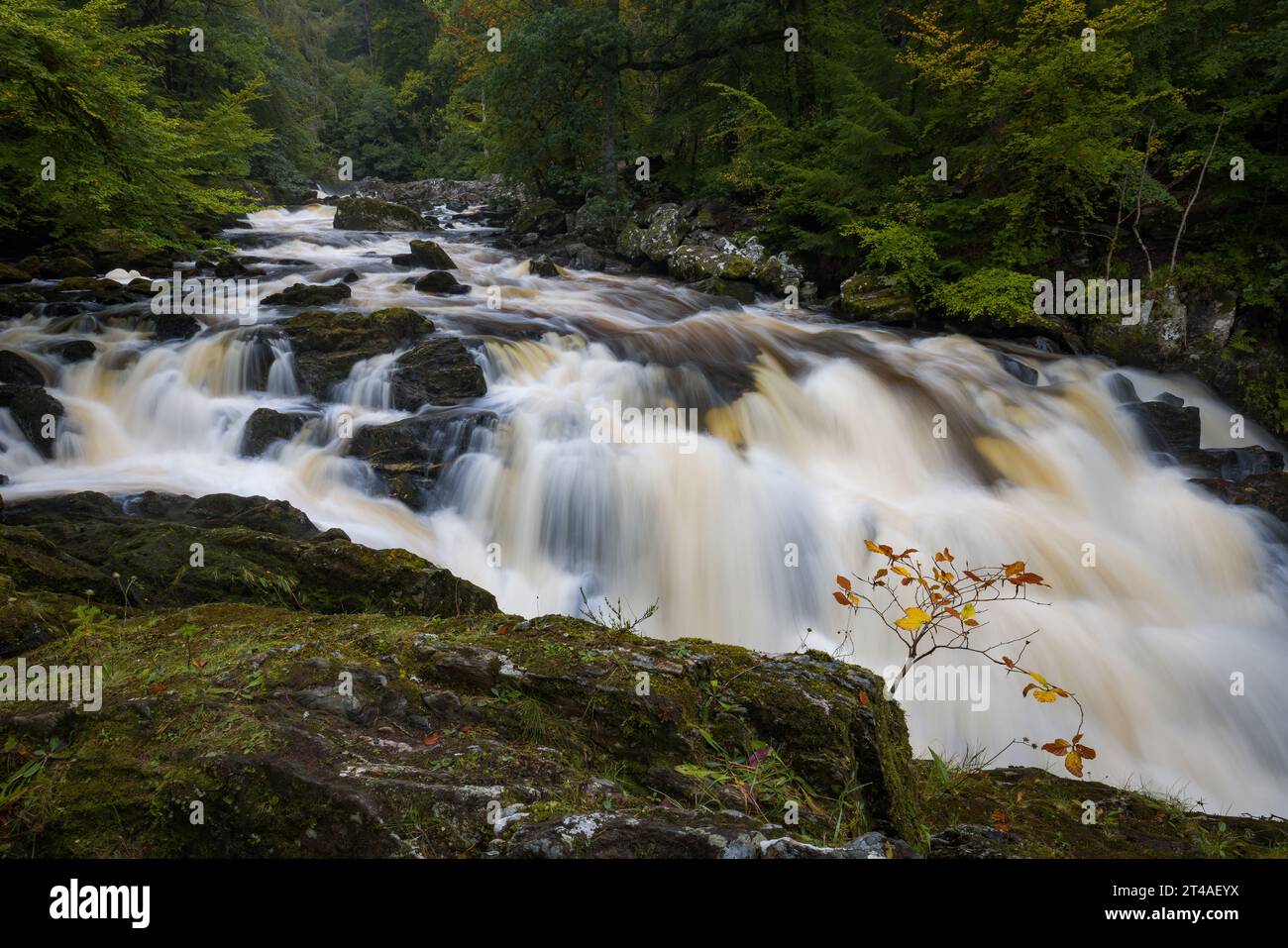 Black Linn Falls, The Hermitage, Dunkeld, Perthshire, Scotland Stock ...