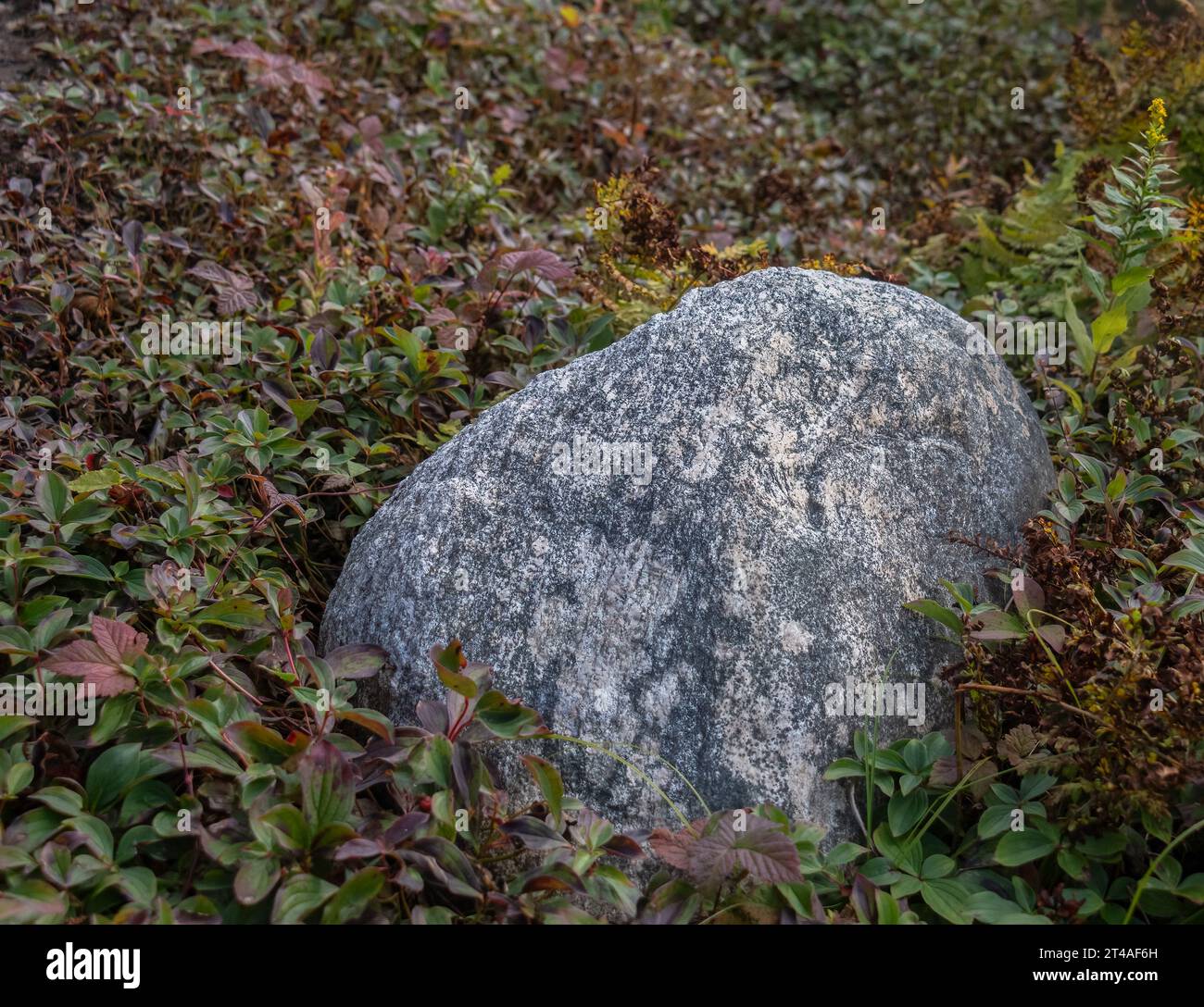 Geological textures hi-res stock photography and images - Alamy
