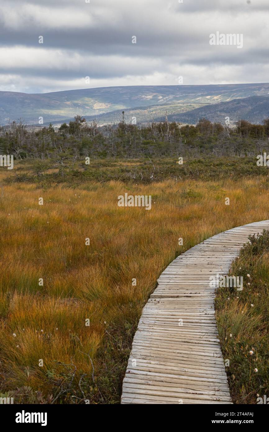 Dark storm clouds over mountains and plains vegetation around Baker’s ...