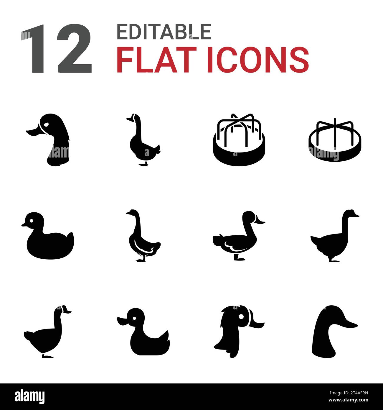 Beautiful standing white duck Stock Vector Images - Alamy