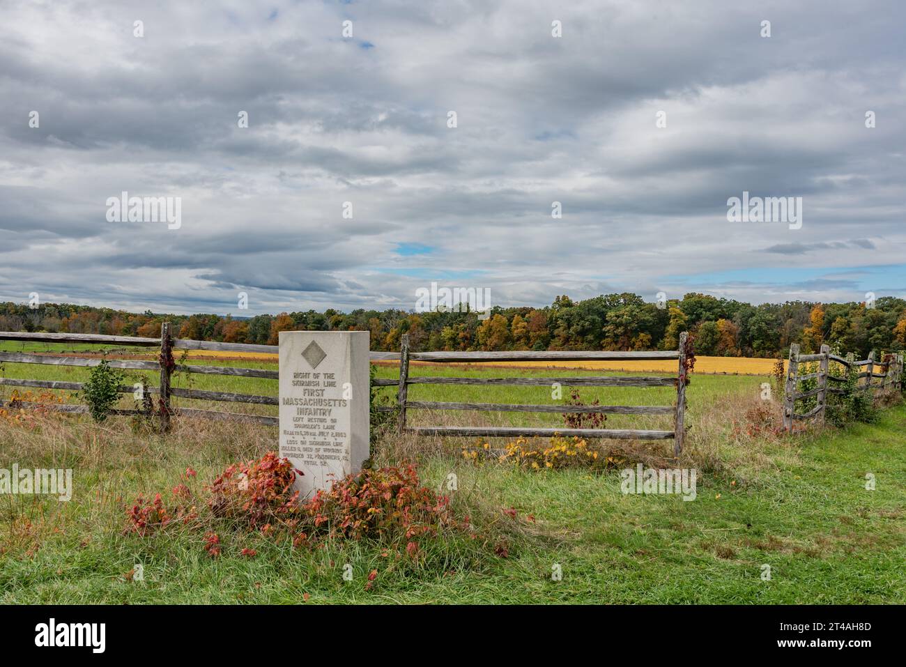Skirmish Line of the 1st Massachusetts Infantry, Gettysburg ...